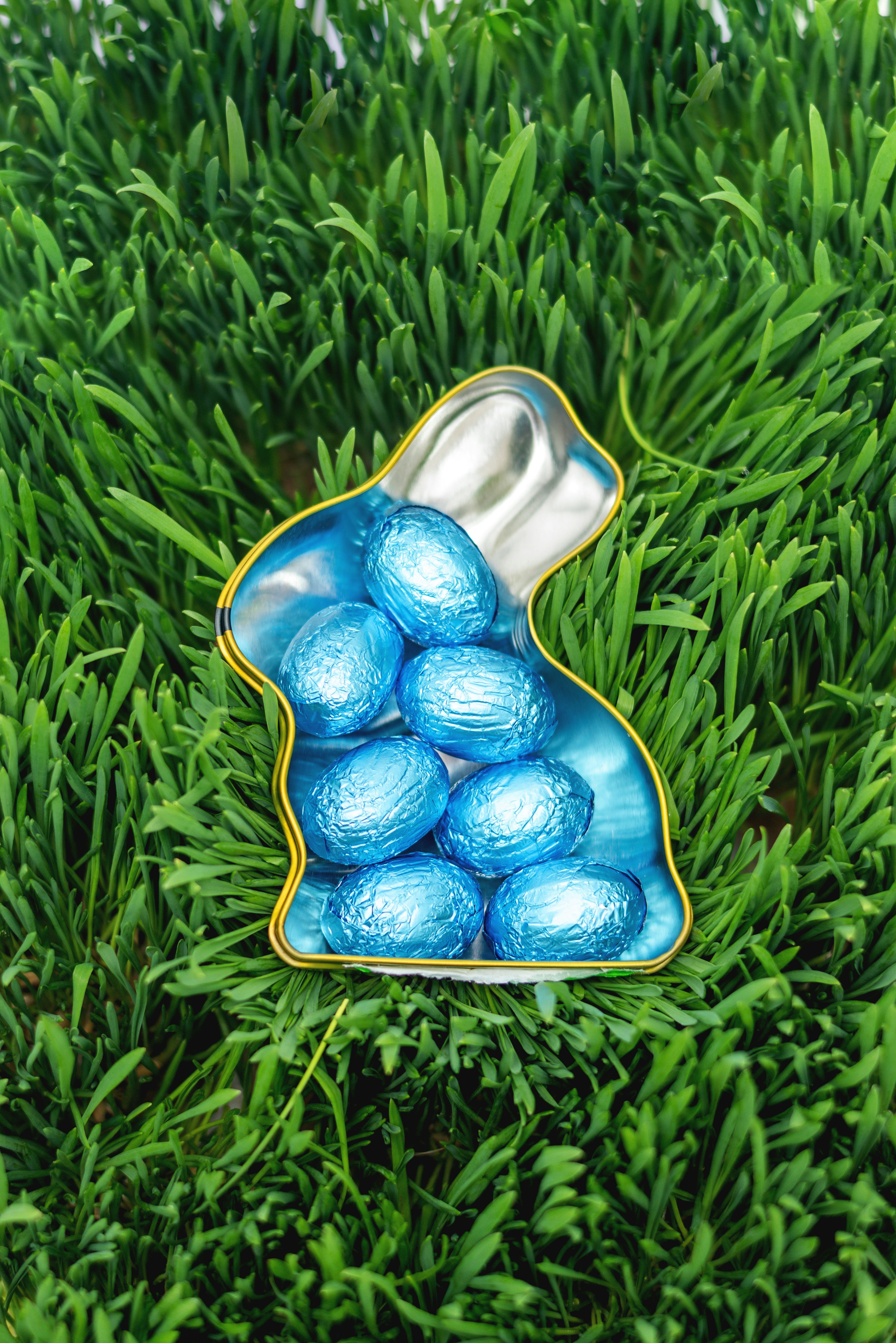 Leaf-shaped blue foil-egg tray resting in a sea of emerald grass