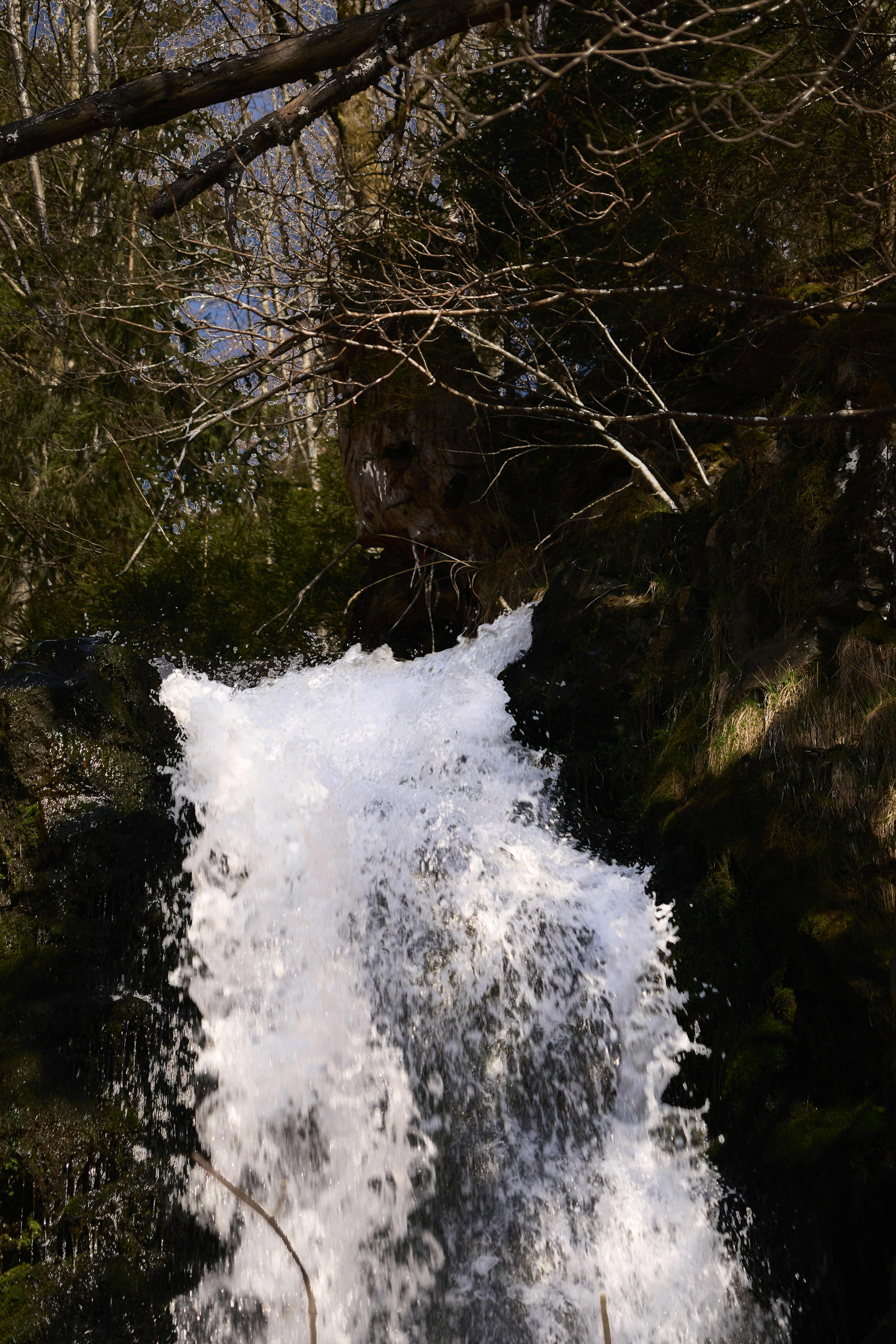 Waterfall cascading down rocks in a forest.