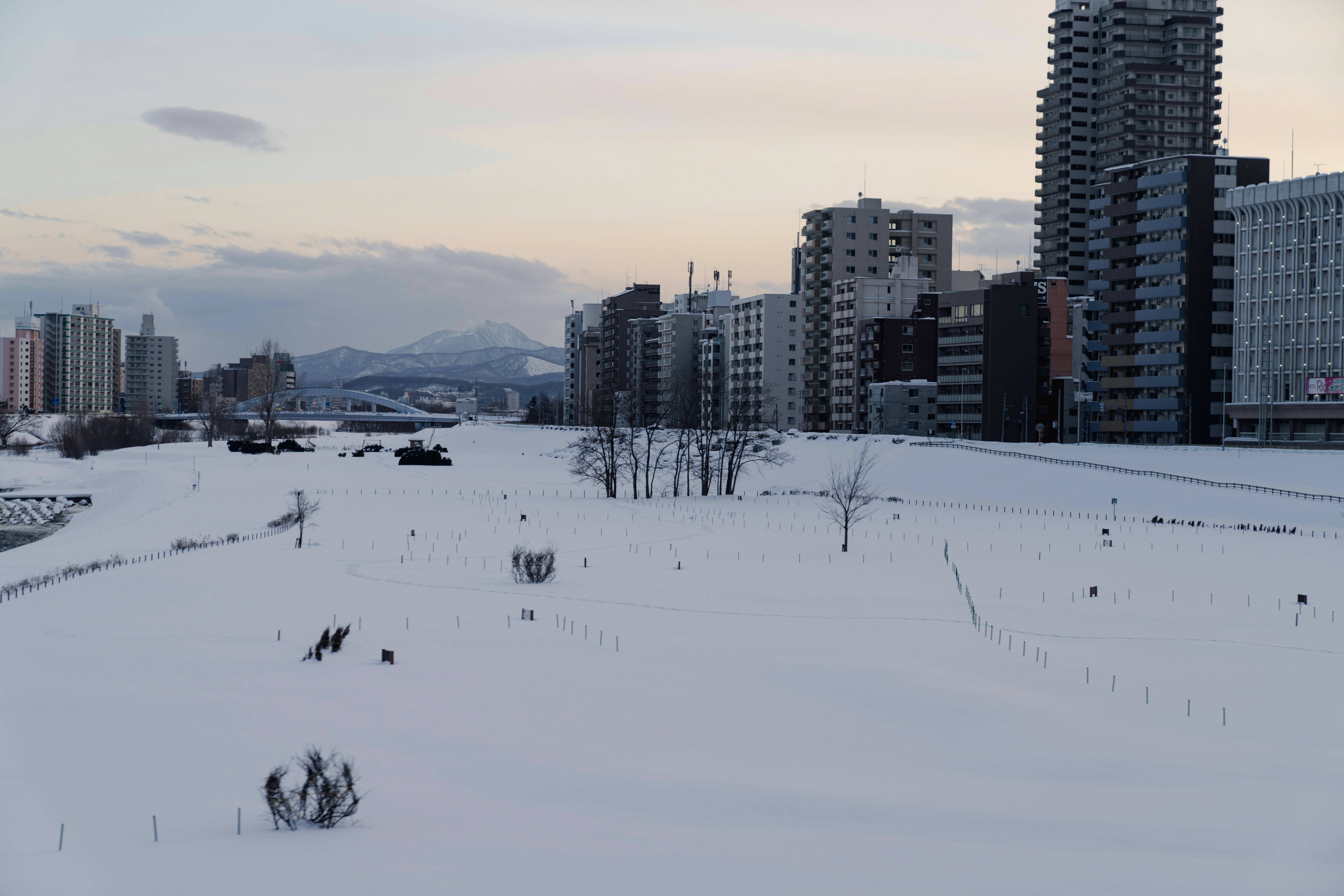 Snow-covered landscape with distant mountains and urban buildings in twilight. Sparse trees punctuate the white expanse.