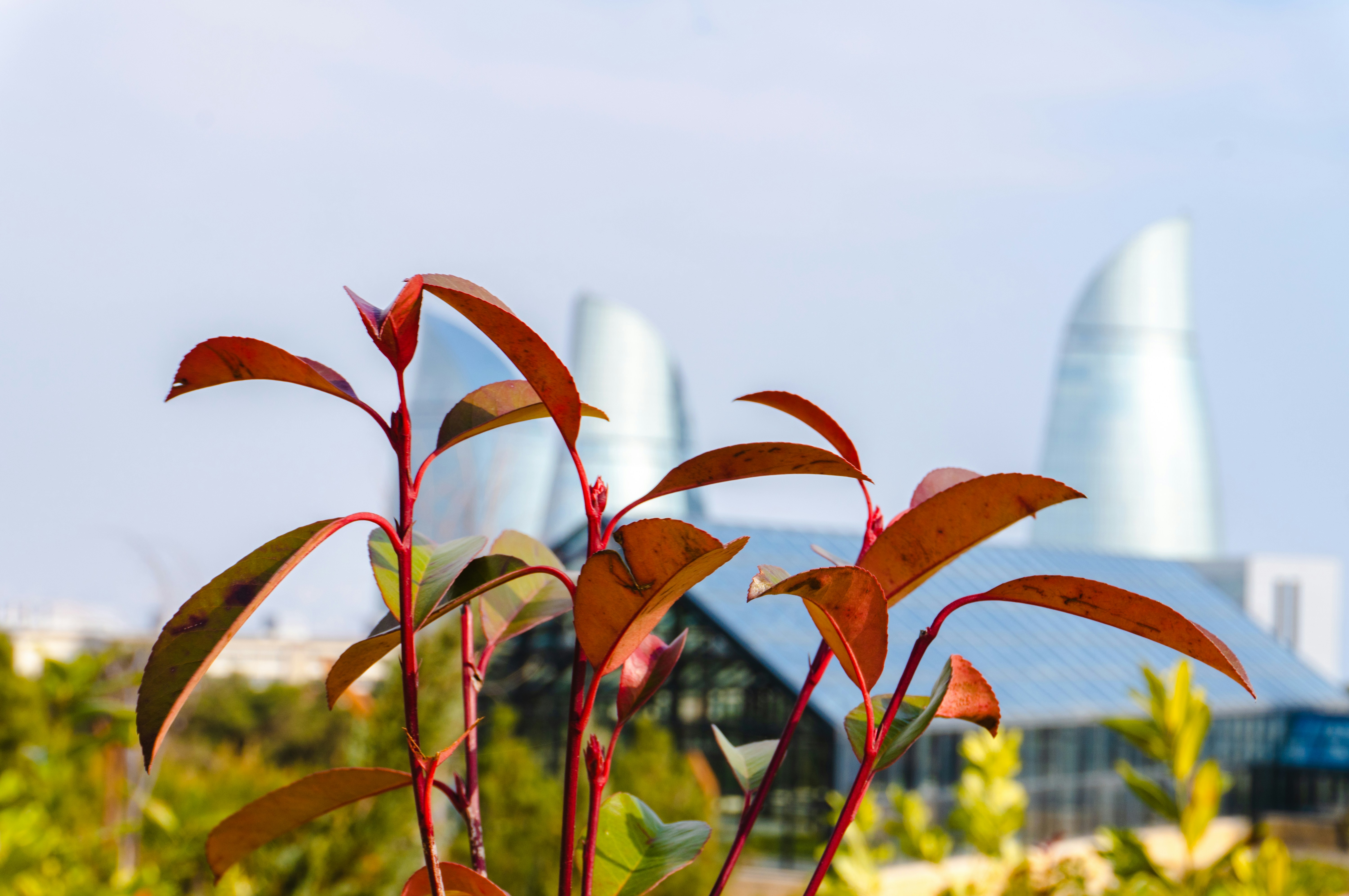 Photo by Zulfugar Karimov with Sony Alpha 6400