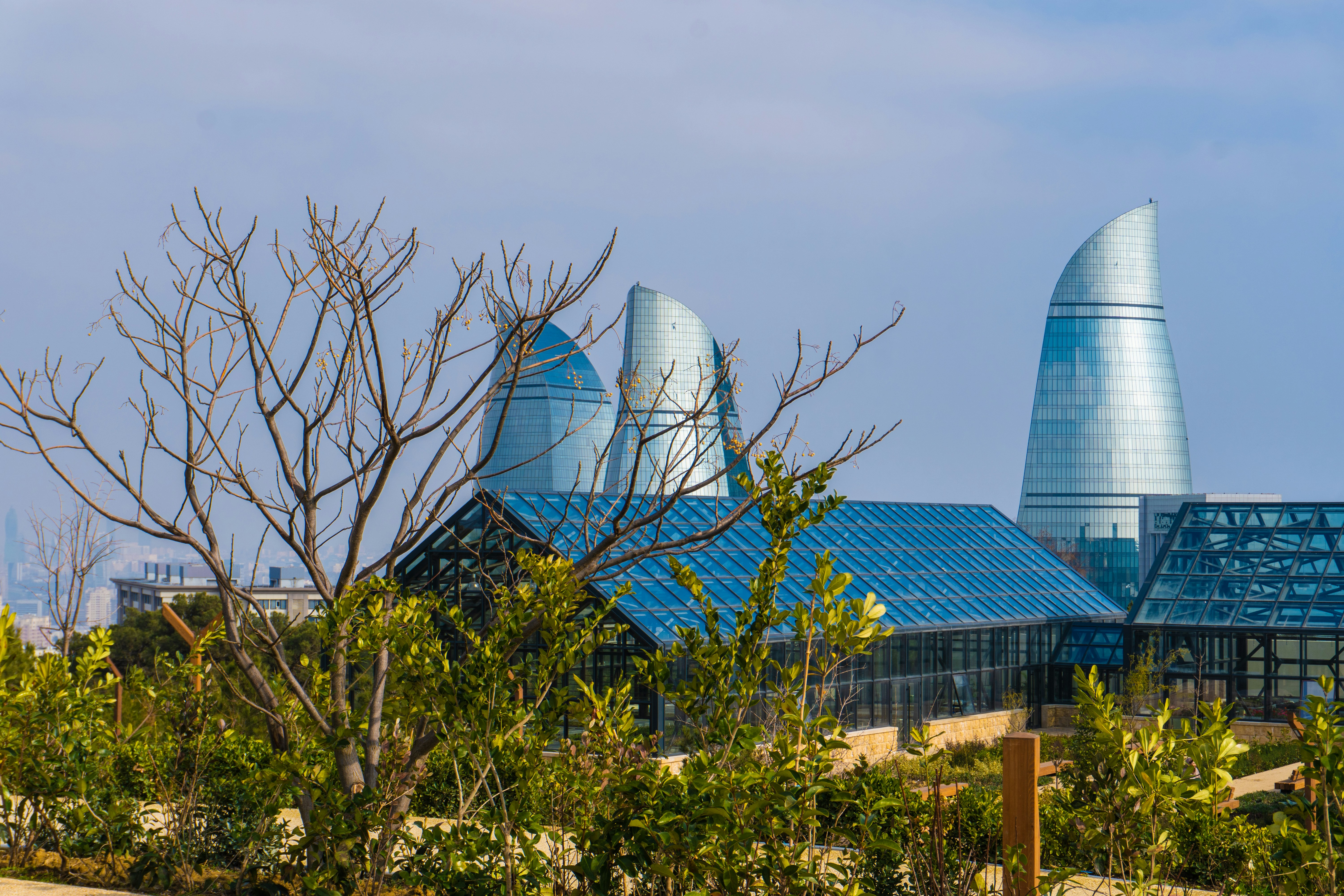 Azure Glass Towers Framed by a Lush Rooftop Garden