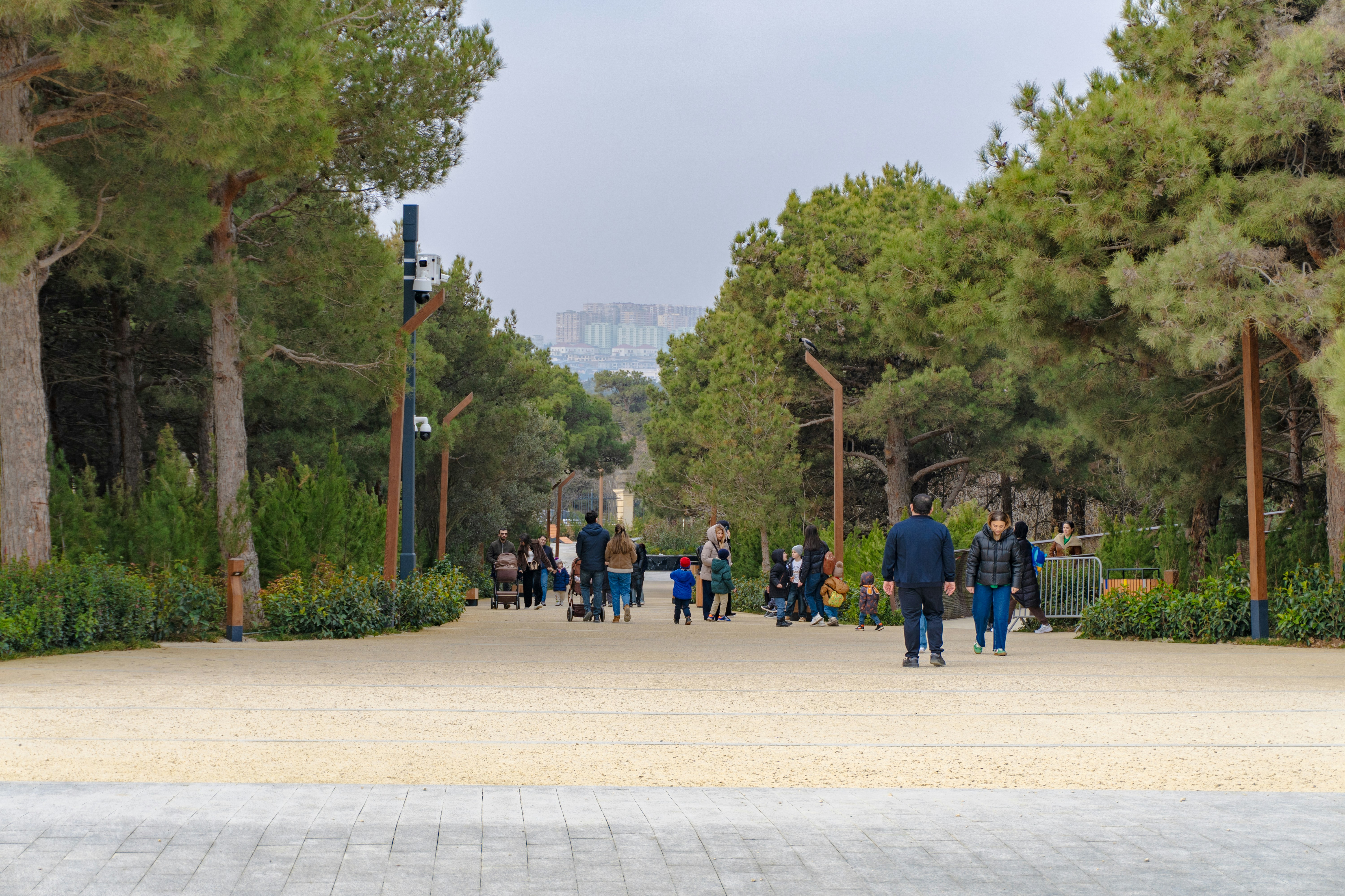 People are walking along a path in a park. photo – Free Forest Image on ...