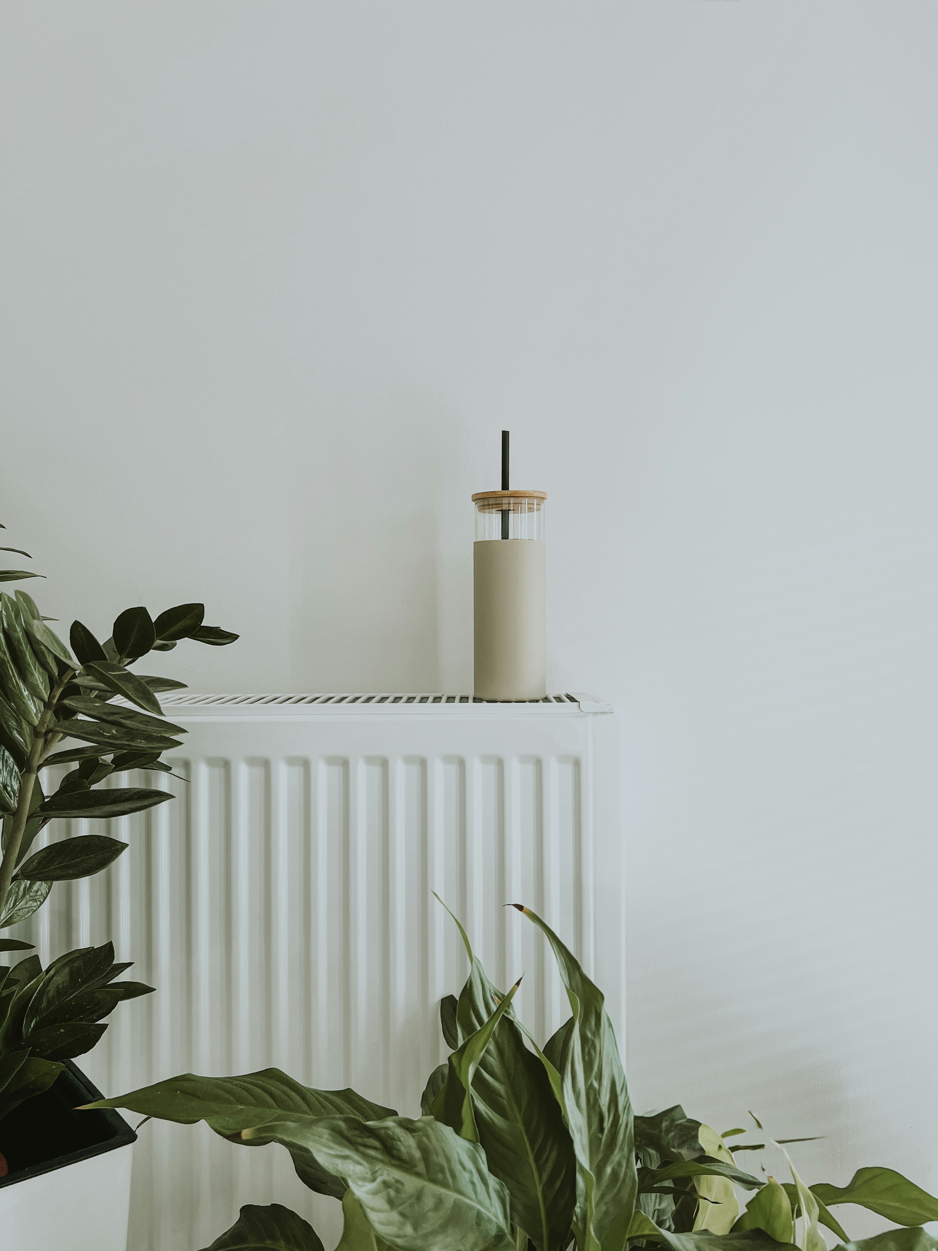 Ceramic Bottle on a Radiator: Quiet Botanical Still Life