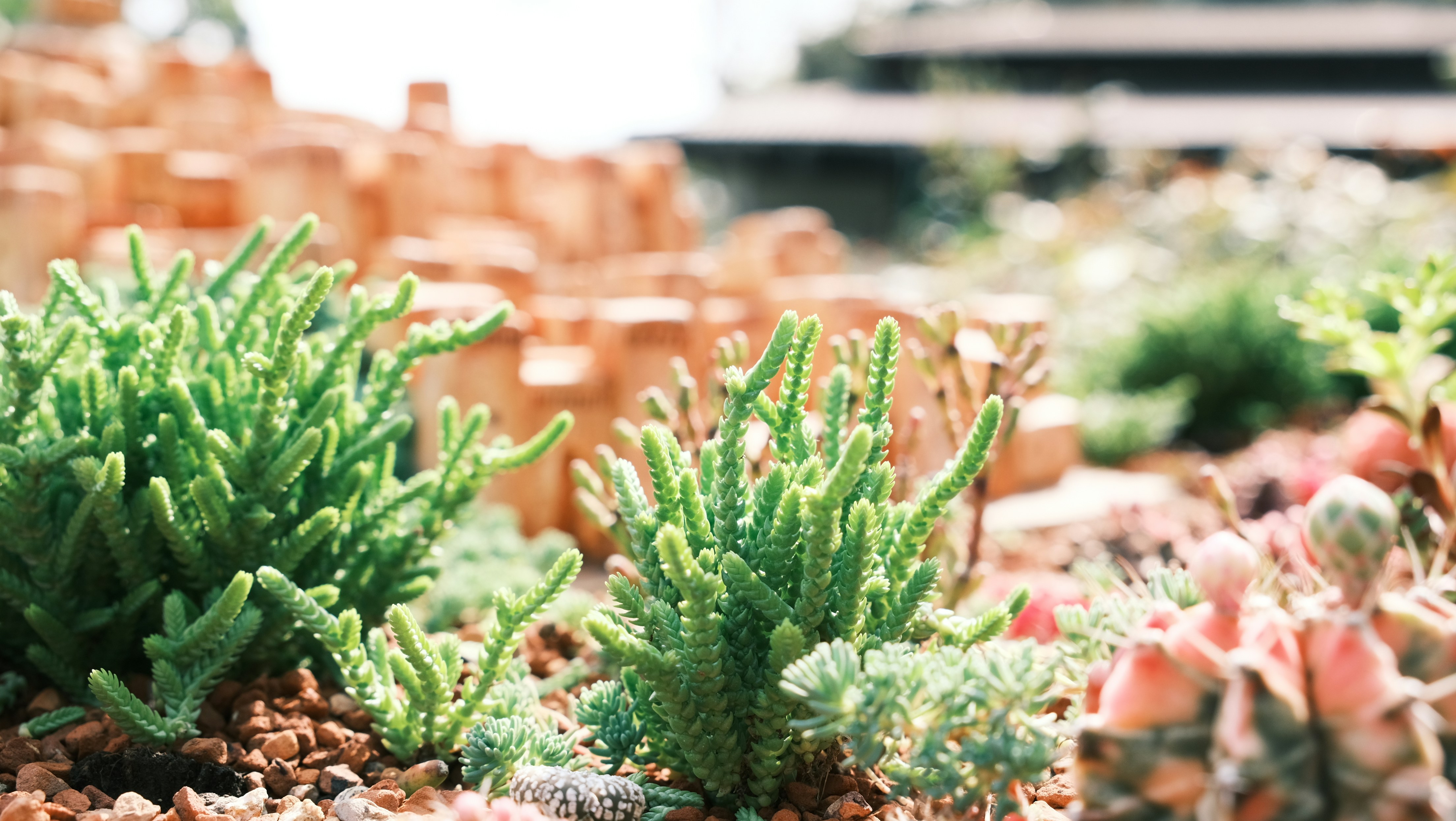 Photo by inni w with Fujifilm X-T30 II