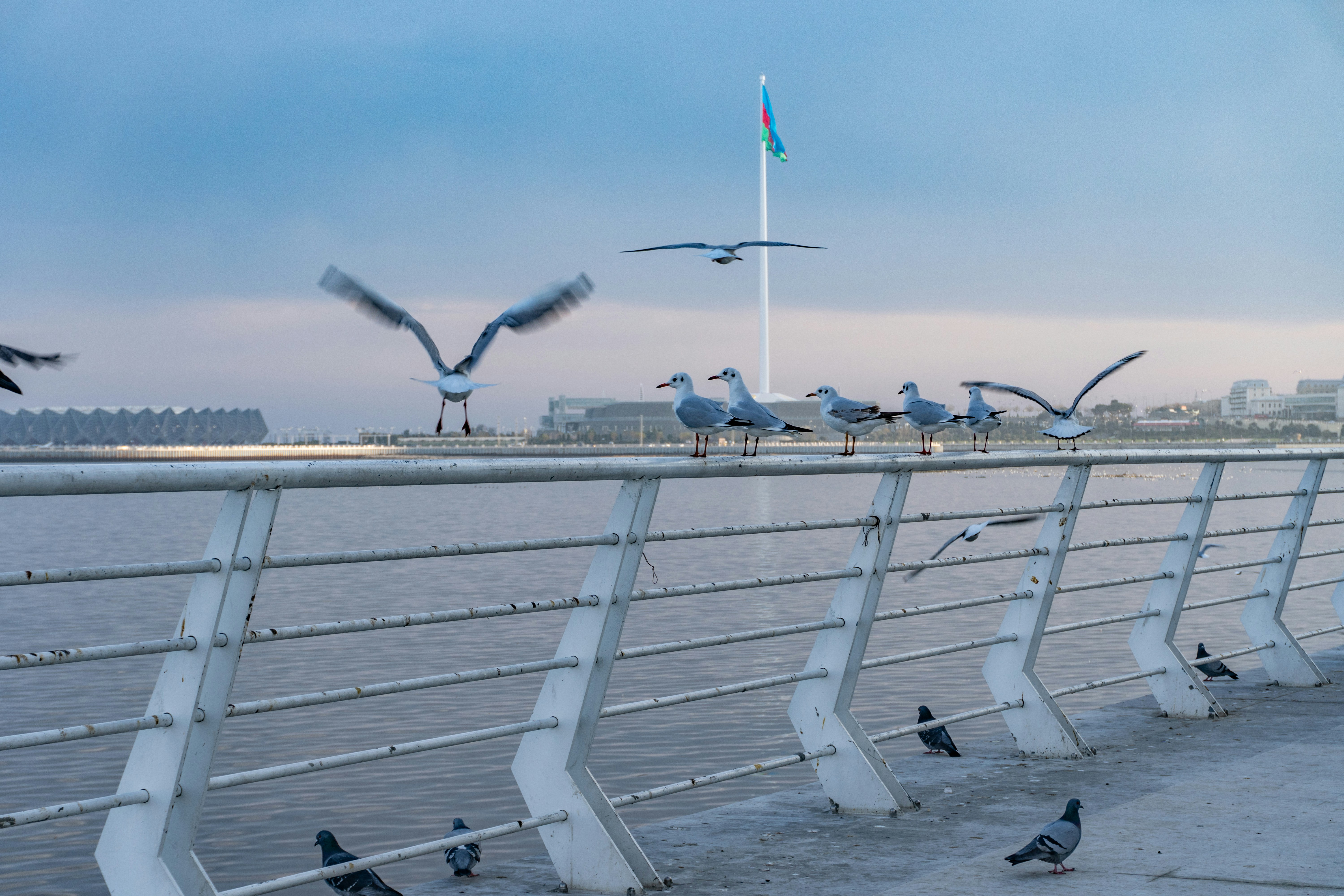 Photo by Zulfugar Karimov with Sony Alpha 6400