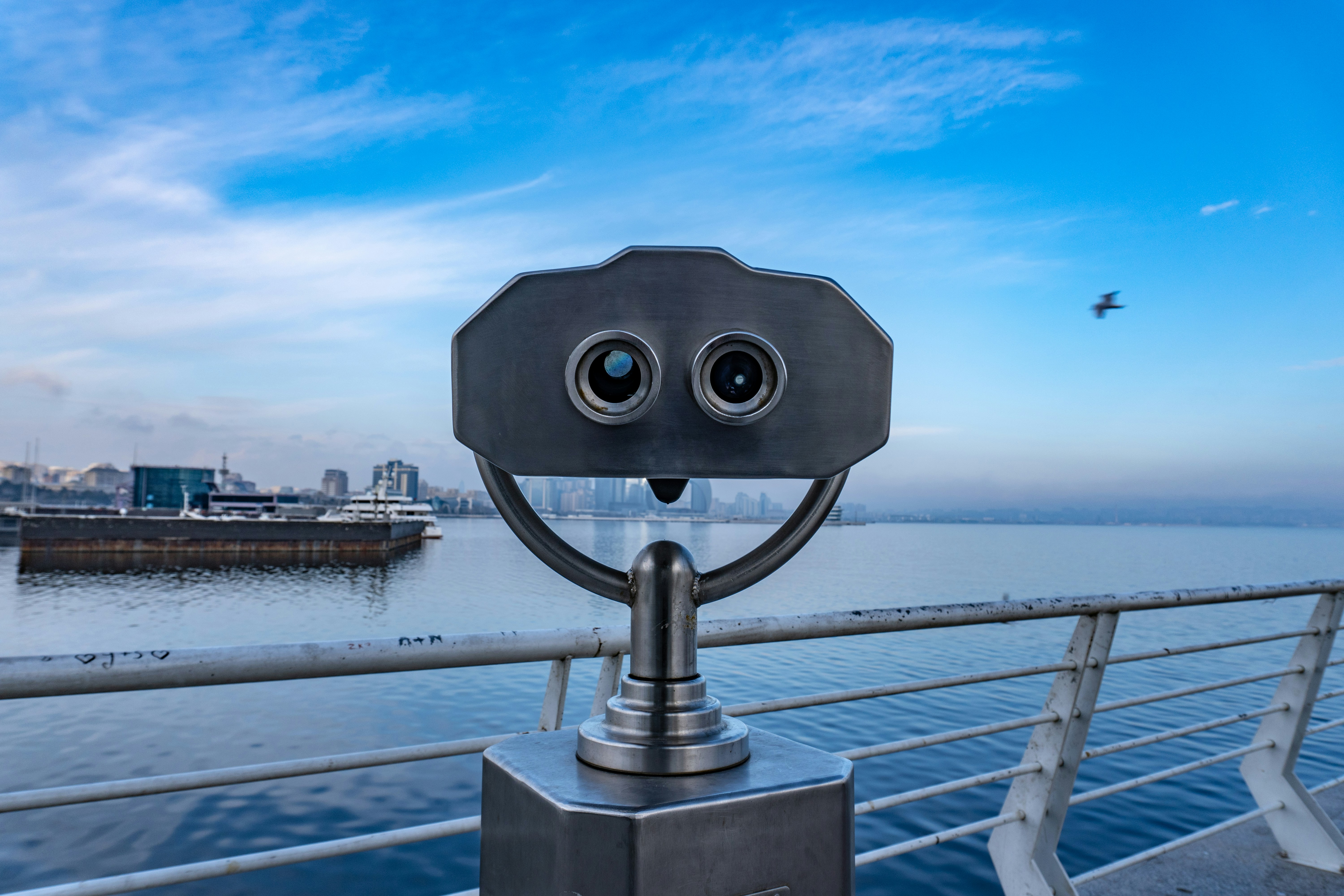 A Pier-View Binocular: Harbor at Eye Level