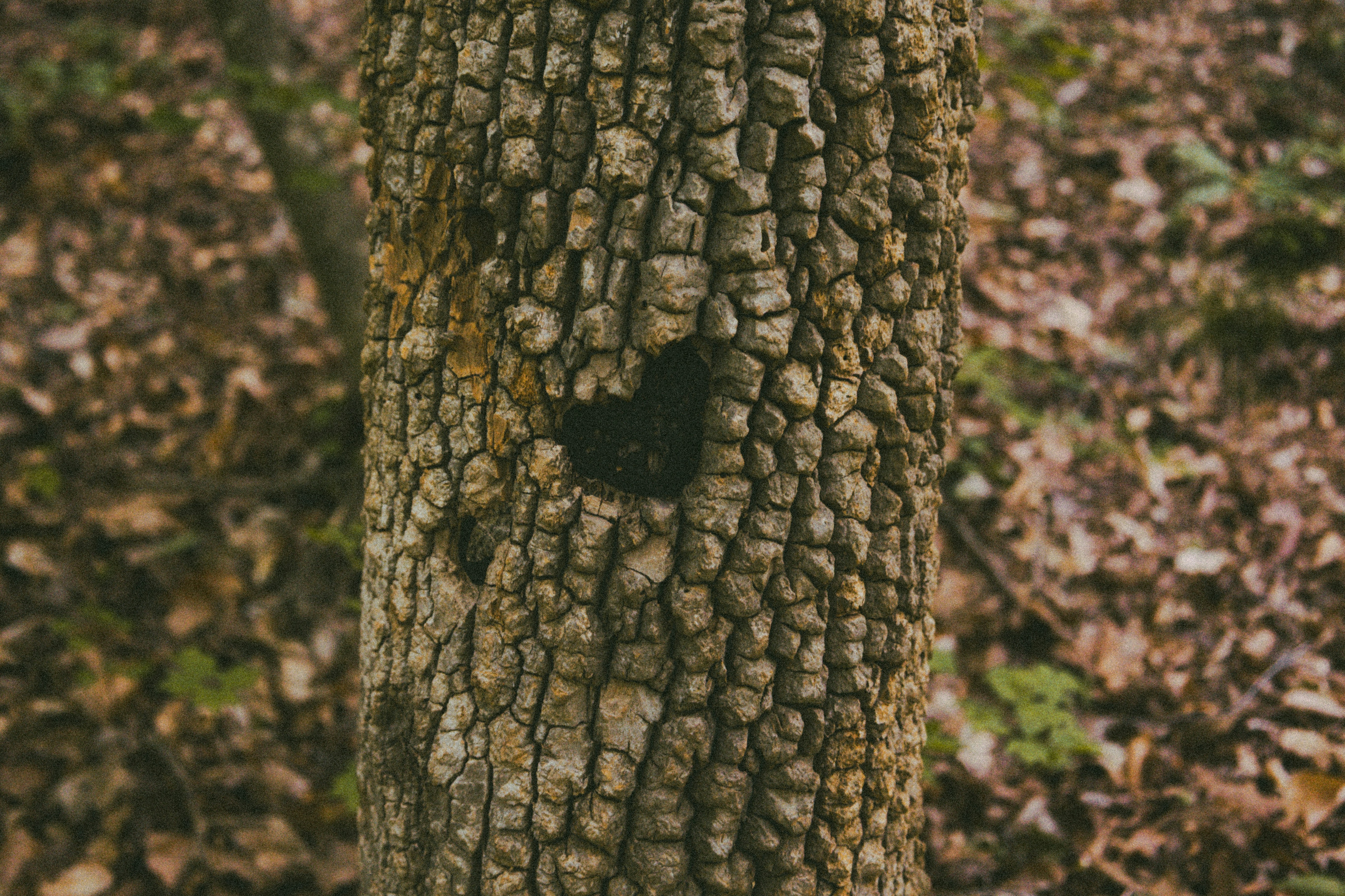 Photo by Brooke Balentine with Canon EOS R6