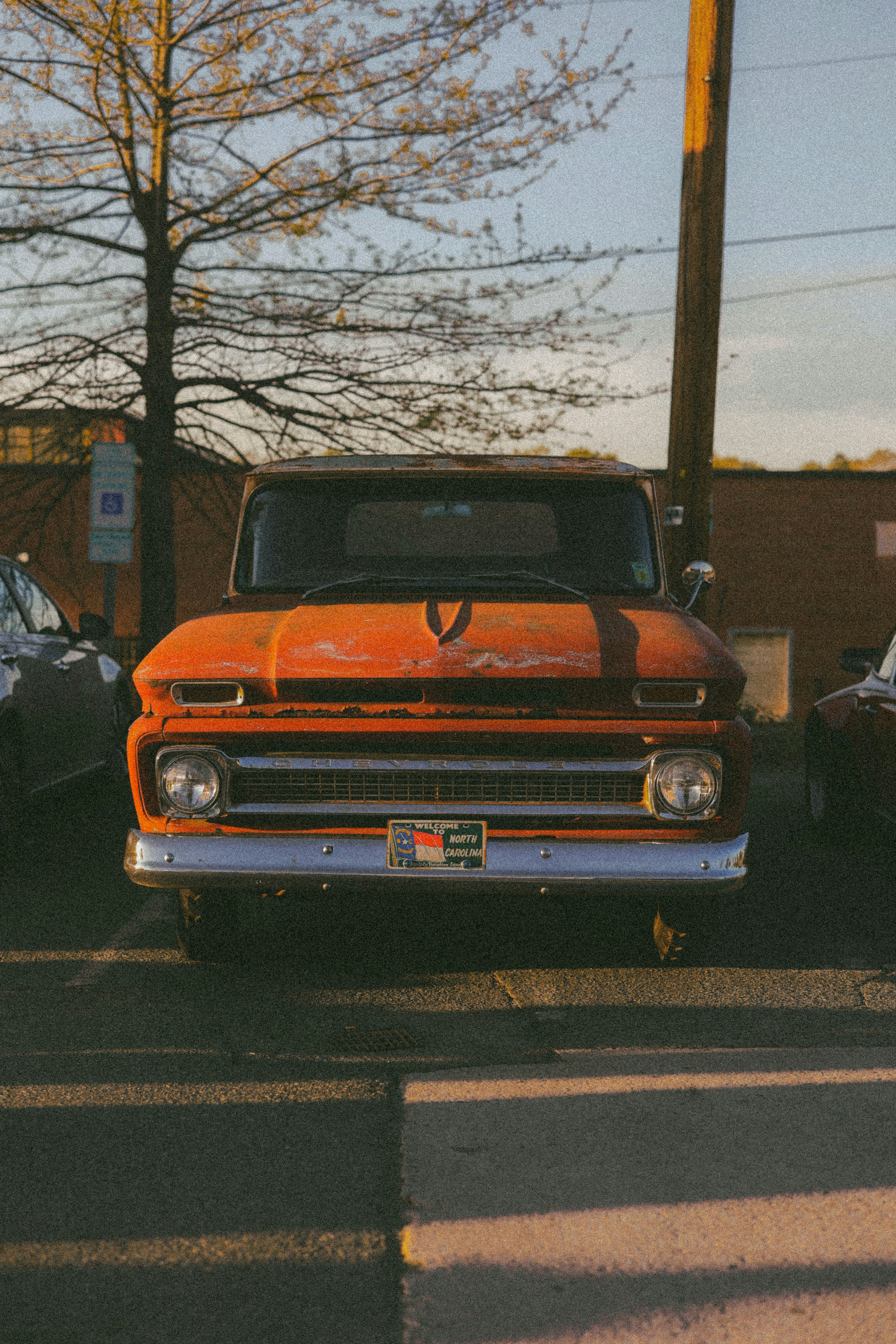 Rusty Relic: A Vintage Pickup's Silent Story