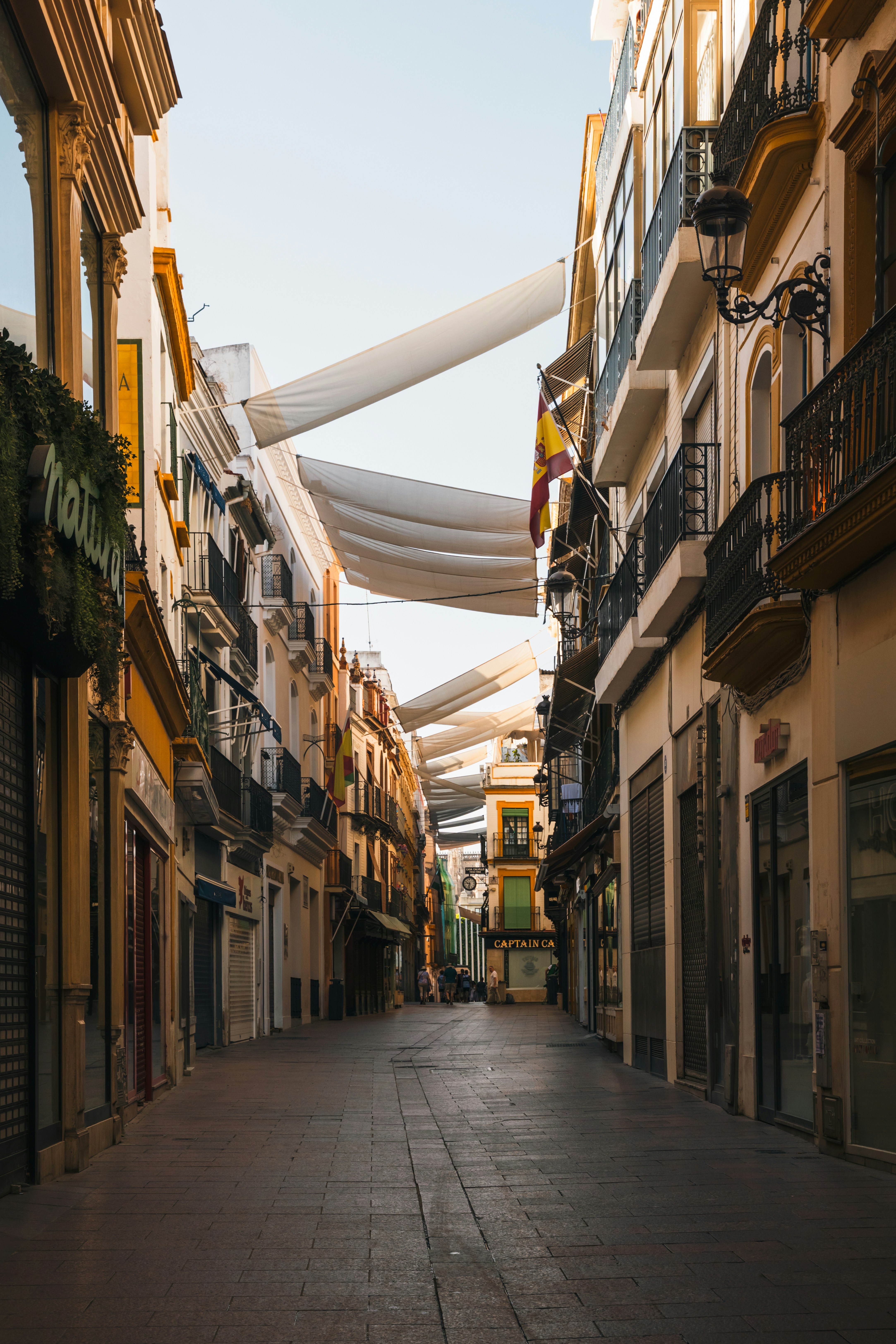 Canopy of Sunlit Alleys: A European Street in Golden Hour