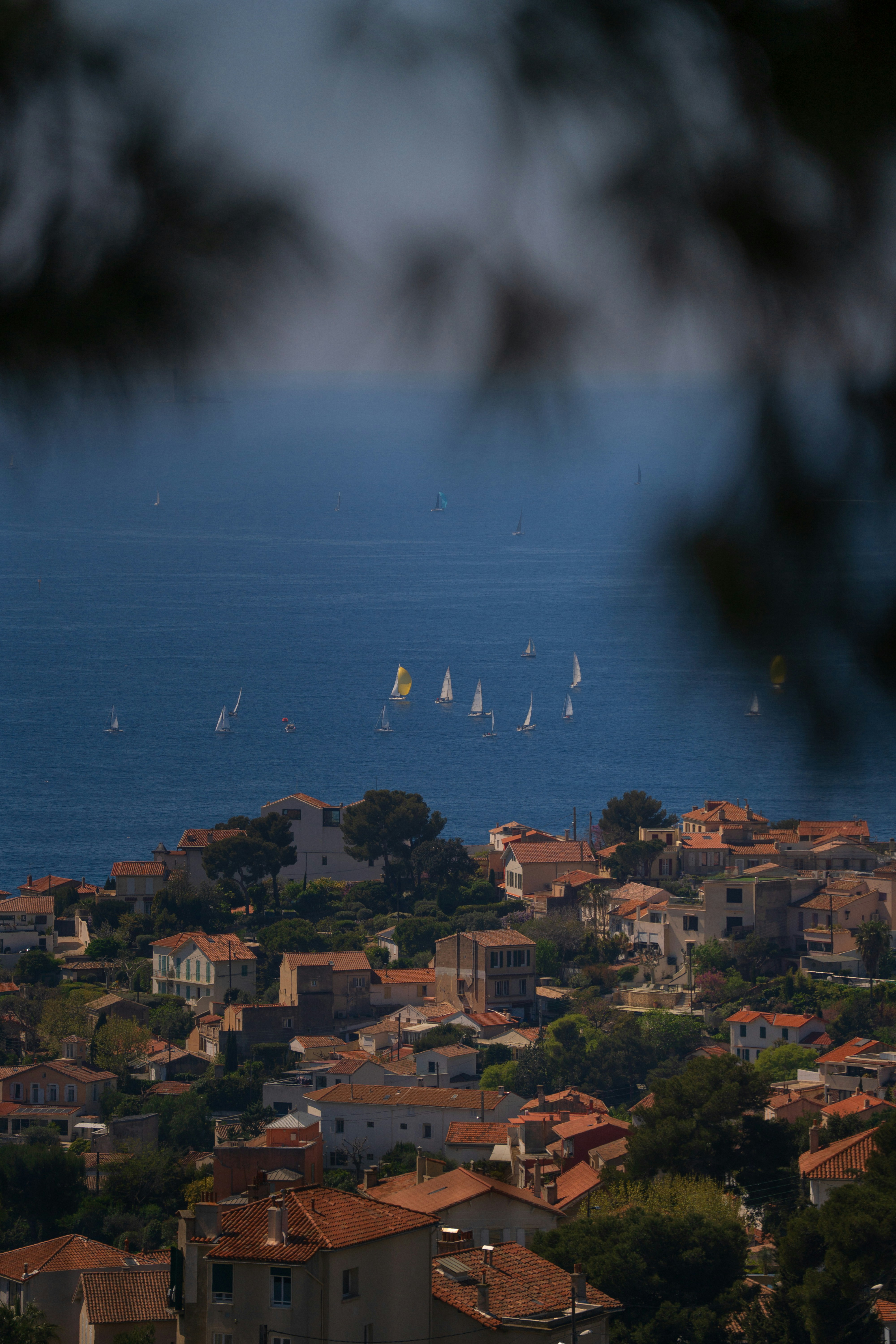 Coastline Village Beneath a Sea of Sails