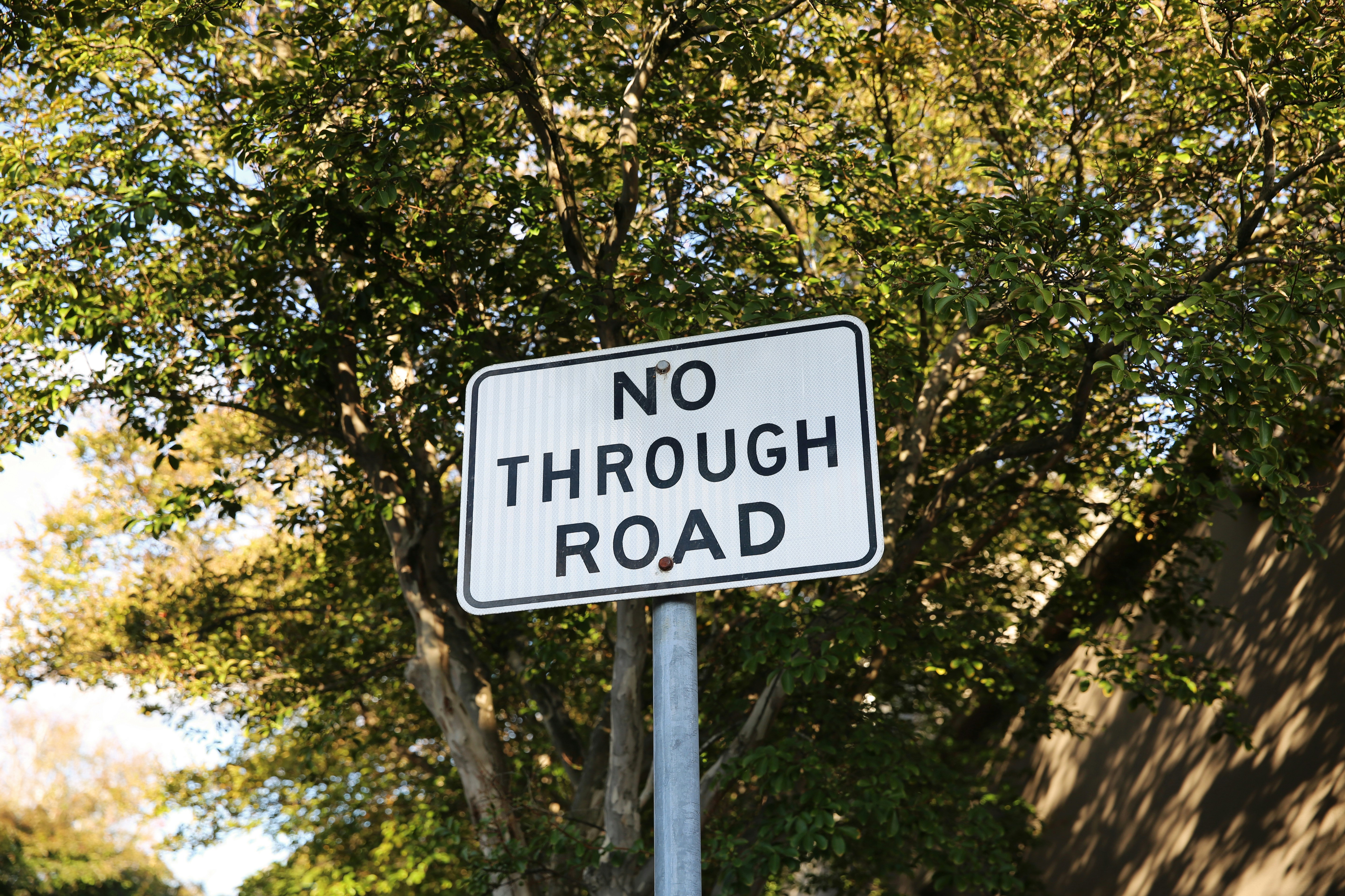 No through road sign with leafy backdrop. photo – Free Road Image on ...