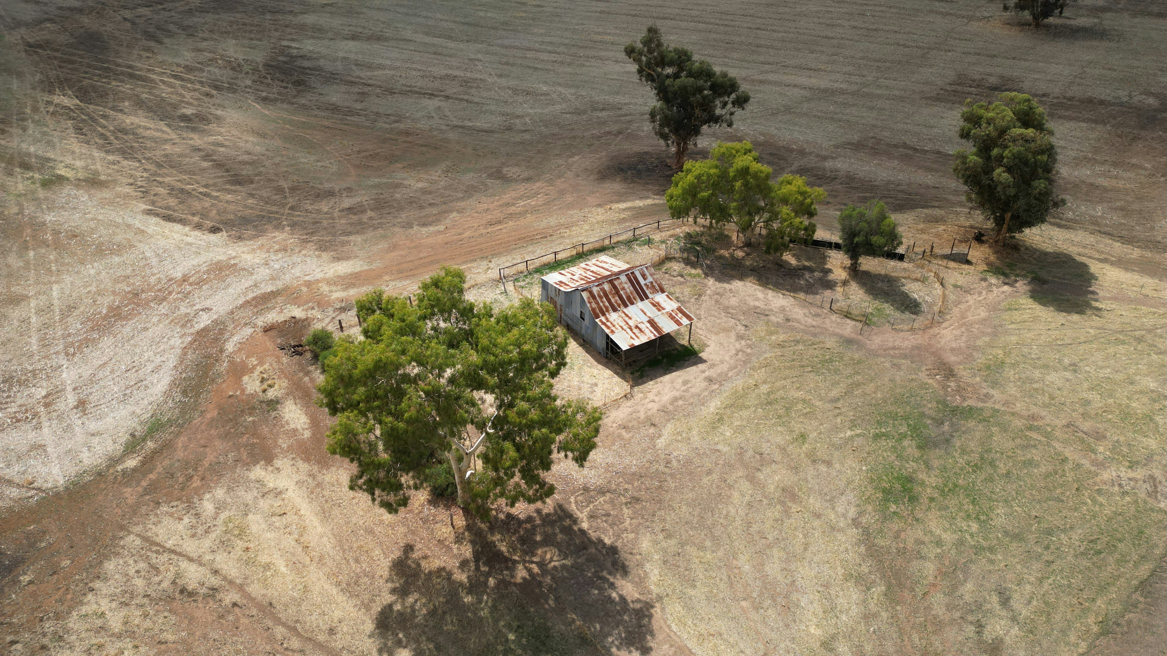 A weathered shed surrounded by sparse vegetation on a dry landscape, illustrating rural solitude and the passage of time.