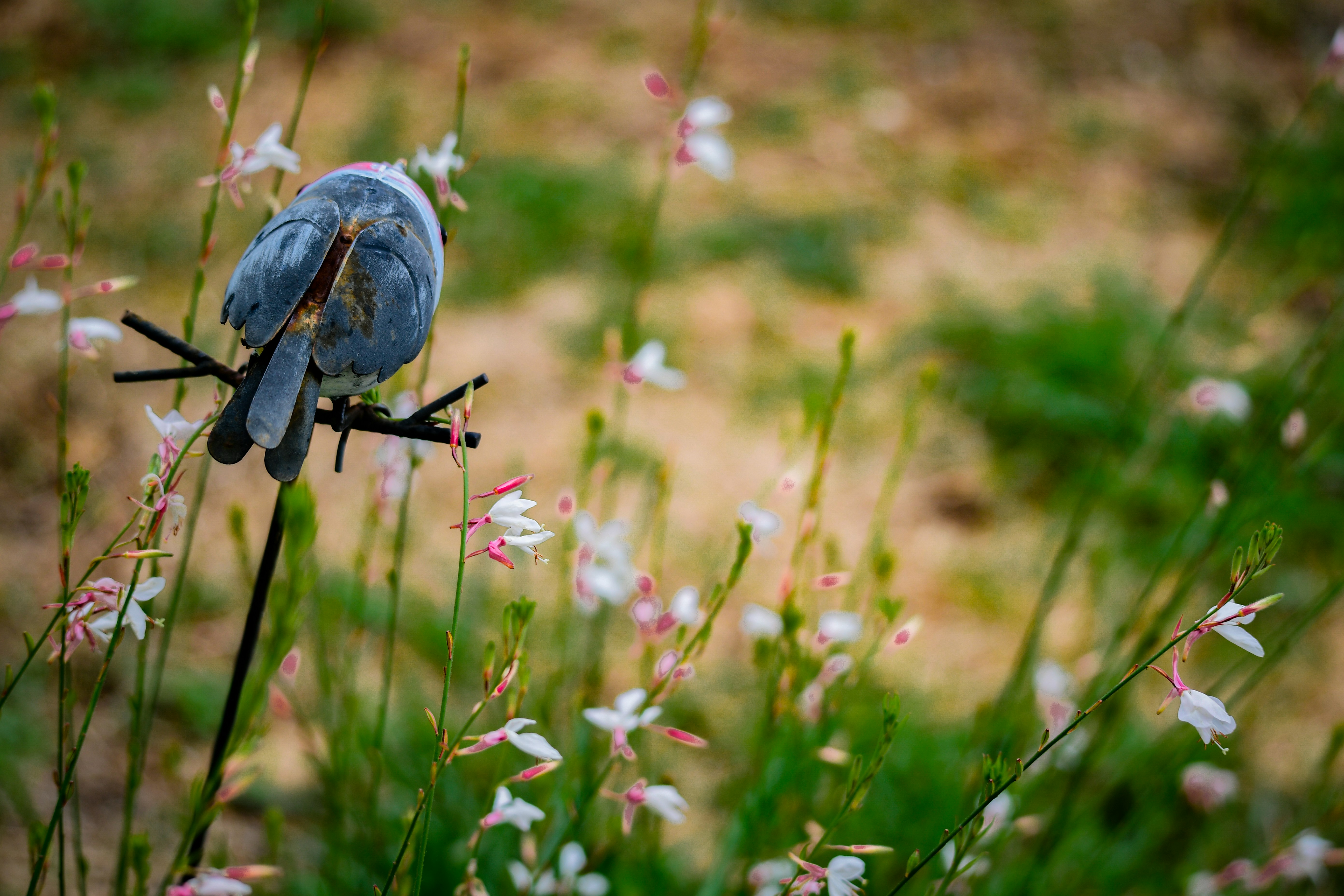 Blue clay pigeon perched among pale pink blooms in a sunlit meadow