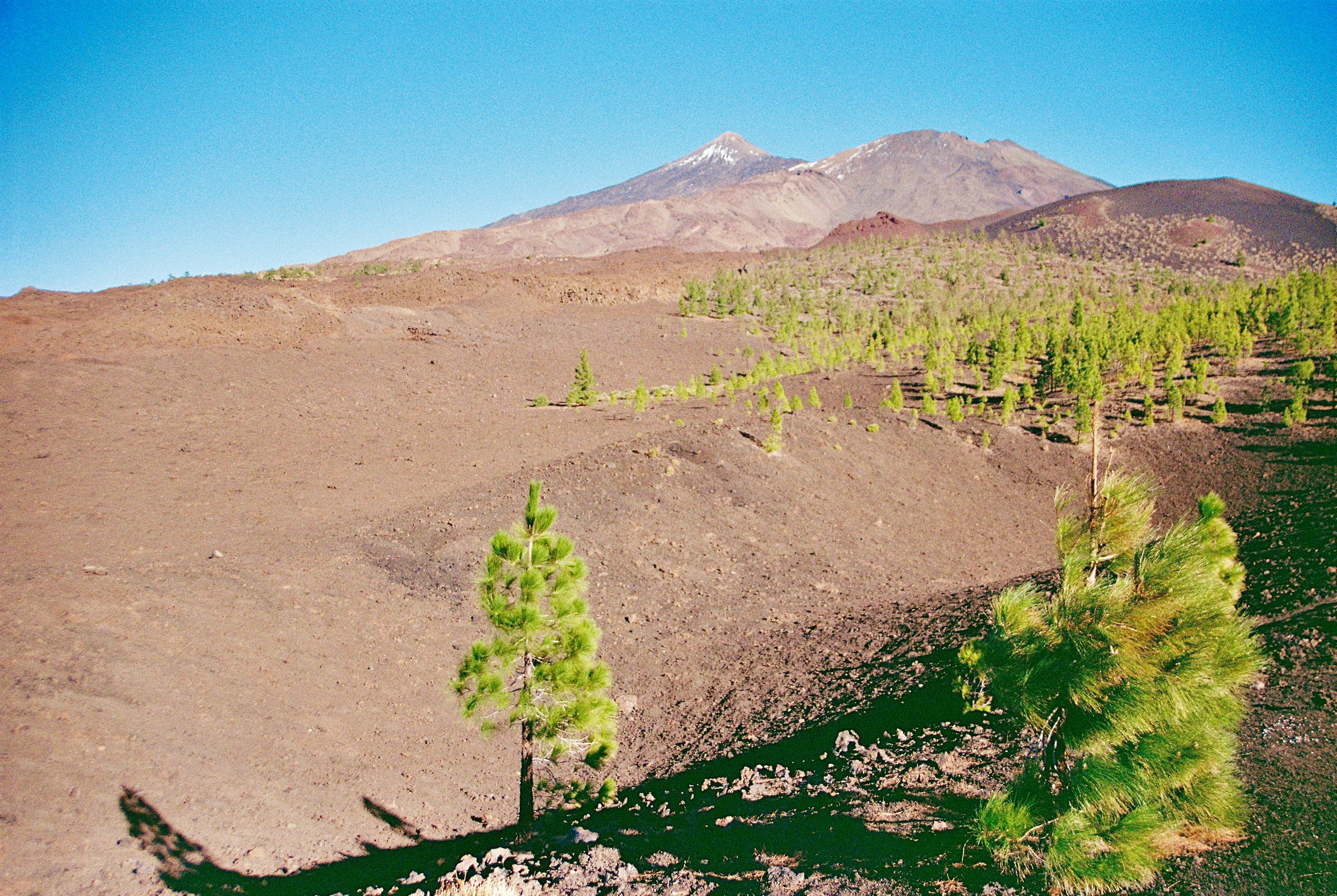 Desert Ridge and Pine Silent Summit
