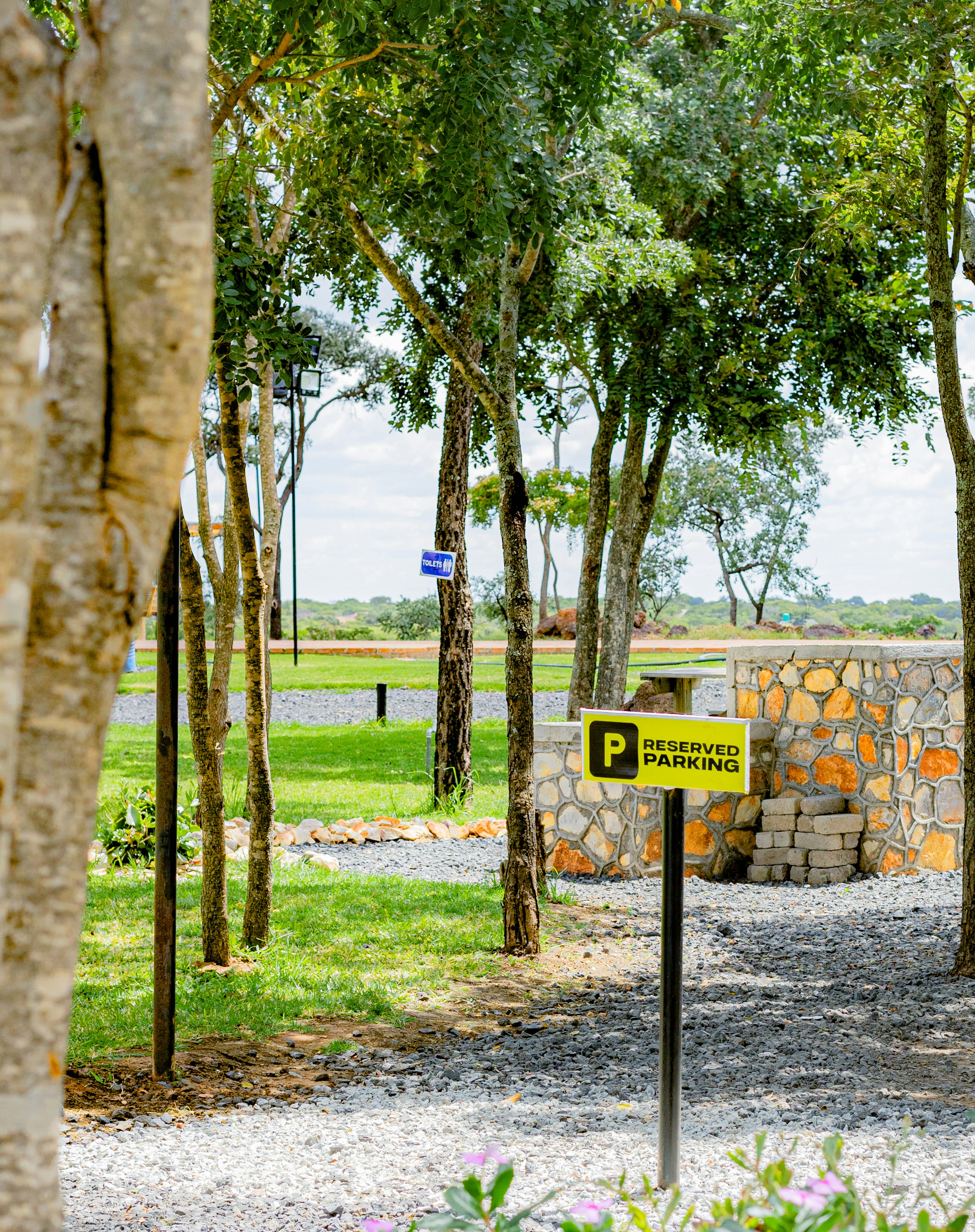 Sunlit Parking Sign in a Serene Landscape
