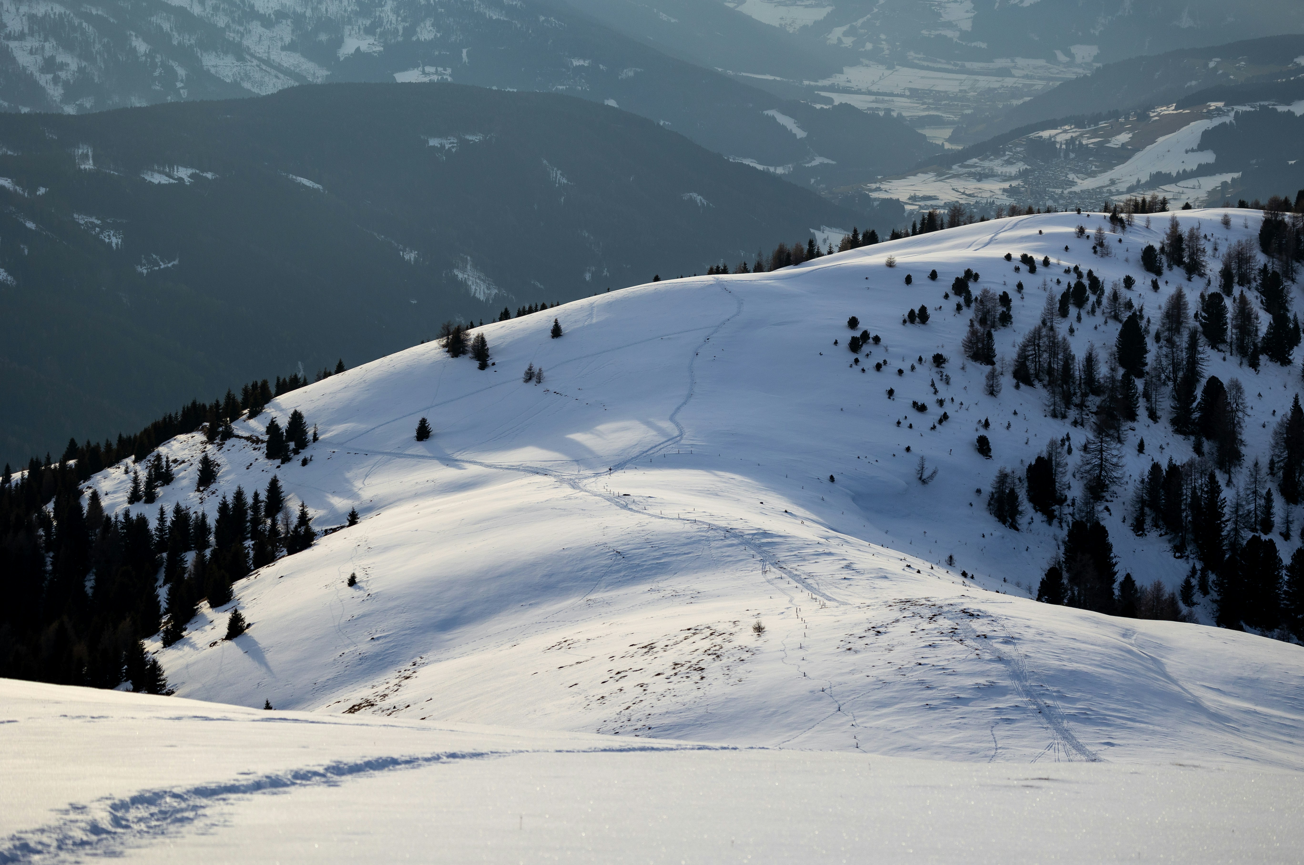 "Snow Trails" | Snowy mountain ridge with trees and valley views.