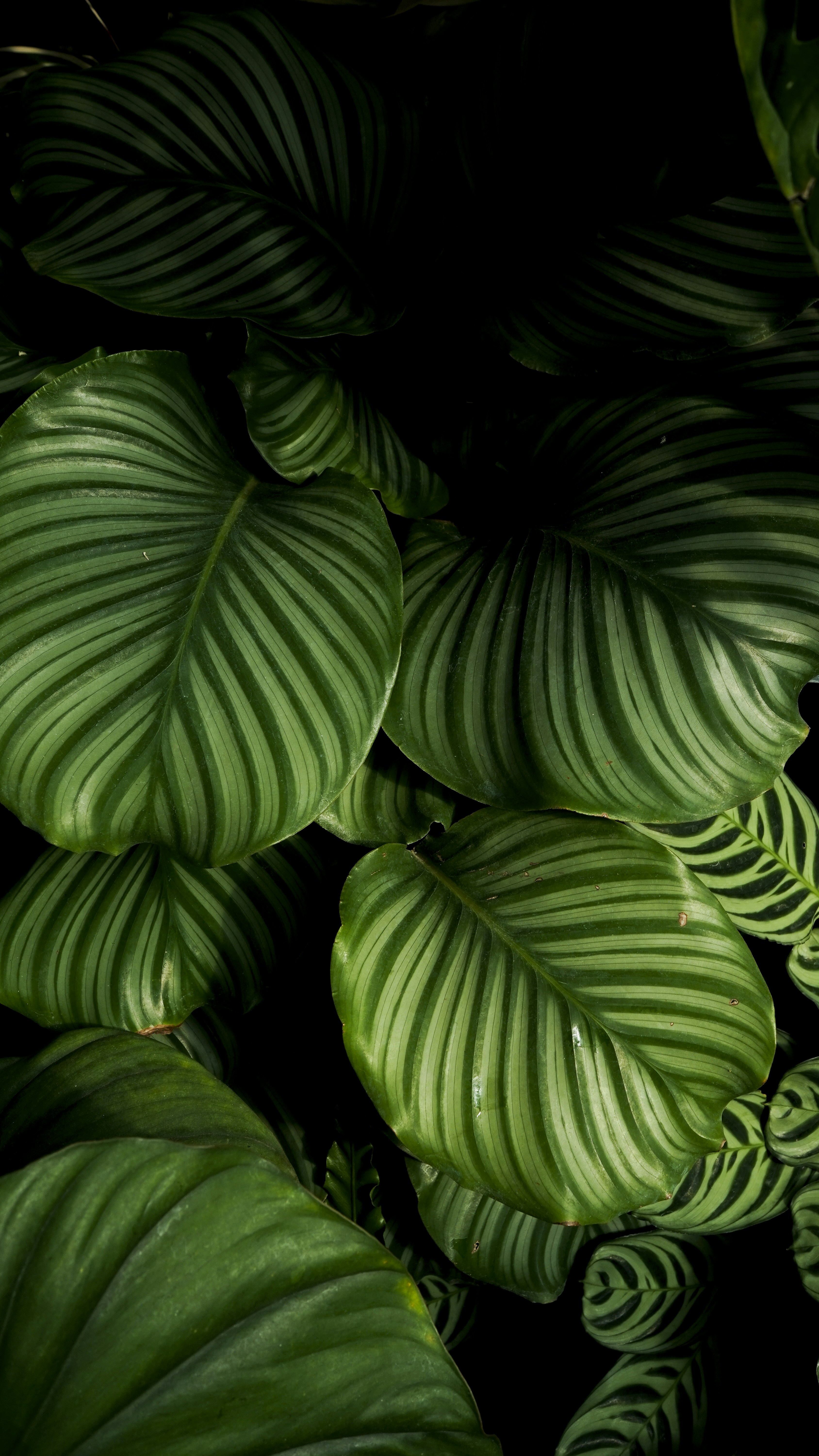 Photo by lacà studio with Sony Alpha 7 III