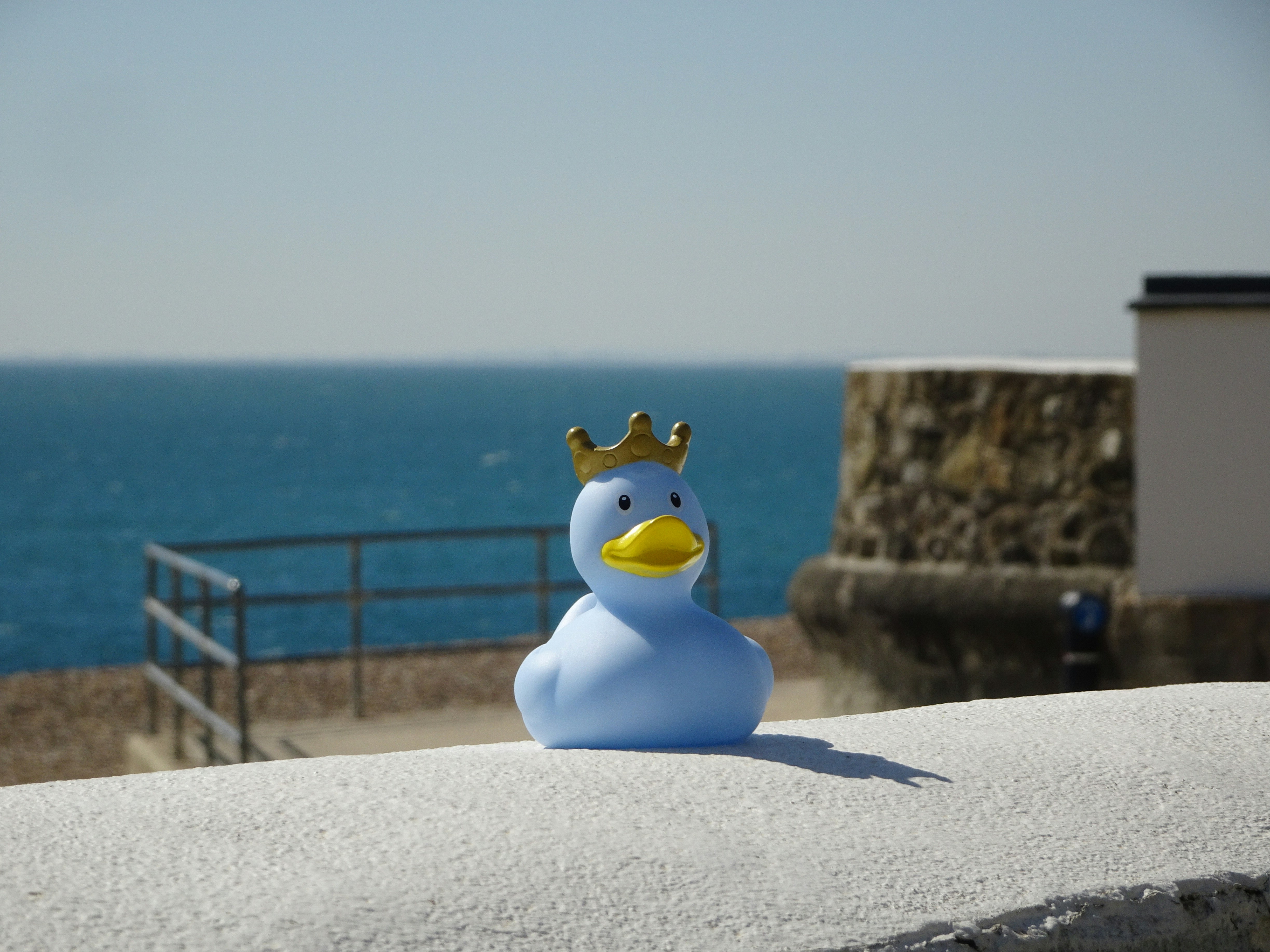 A blue rubber duck wearing a golden crown sits on a white ledge overlooking the ocean. The scene captures a playful juxtaposition of royalty and seaside tranquility.