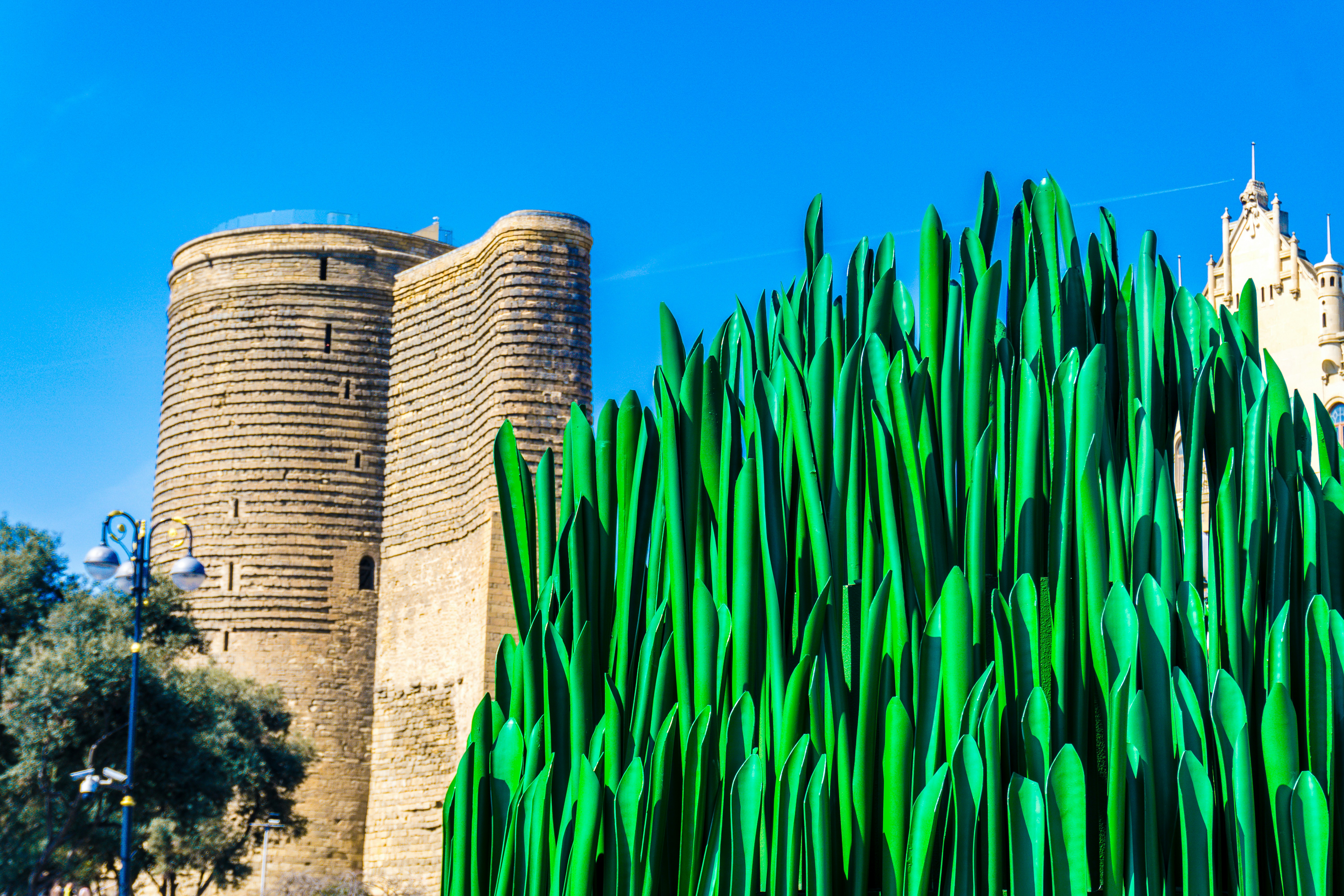 Emerald Reeds Guard the Ancient Wall