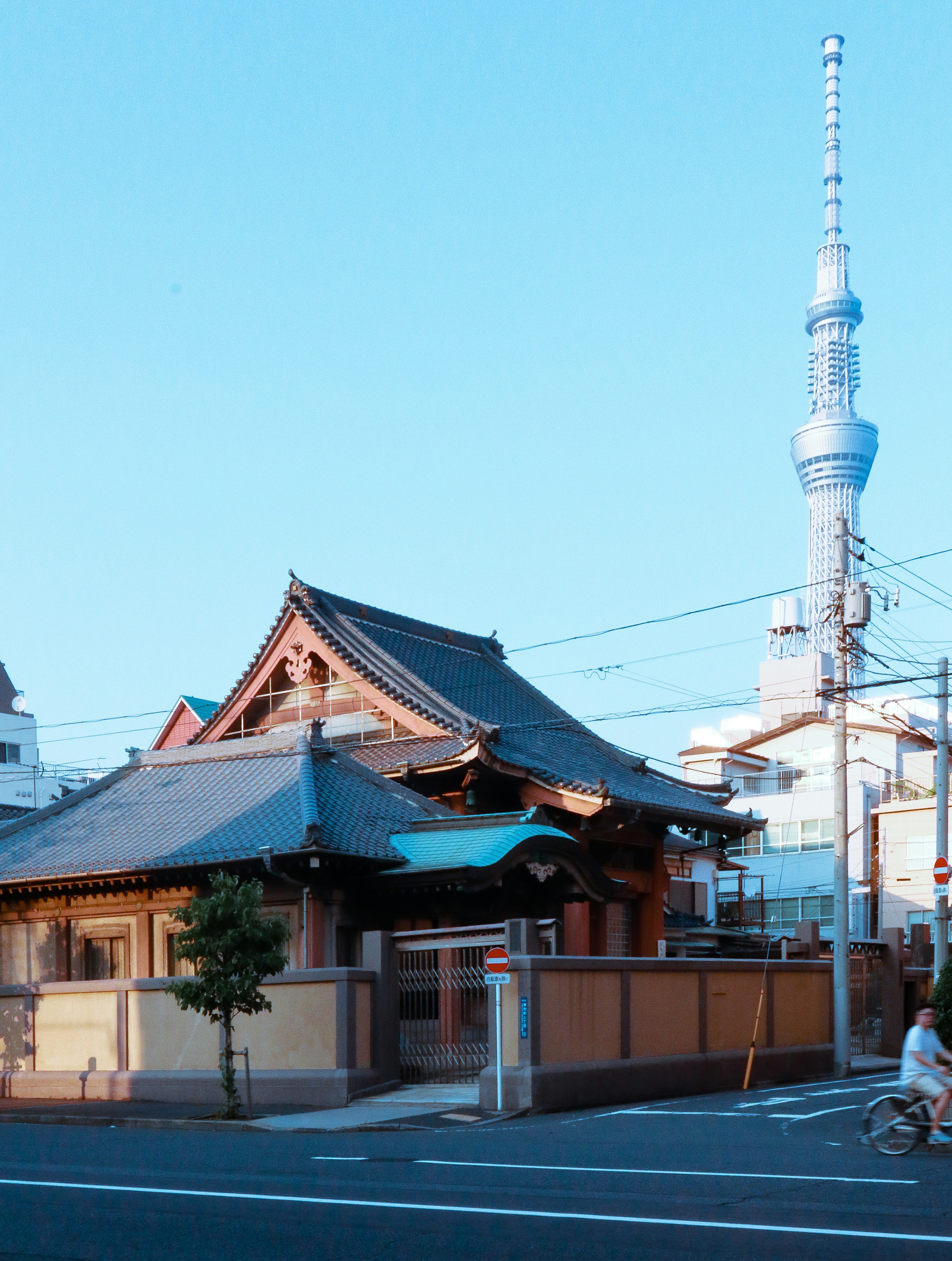 Harmony of Tradition and Modernity