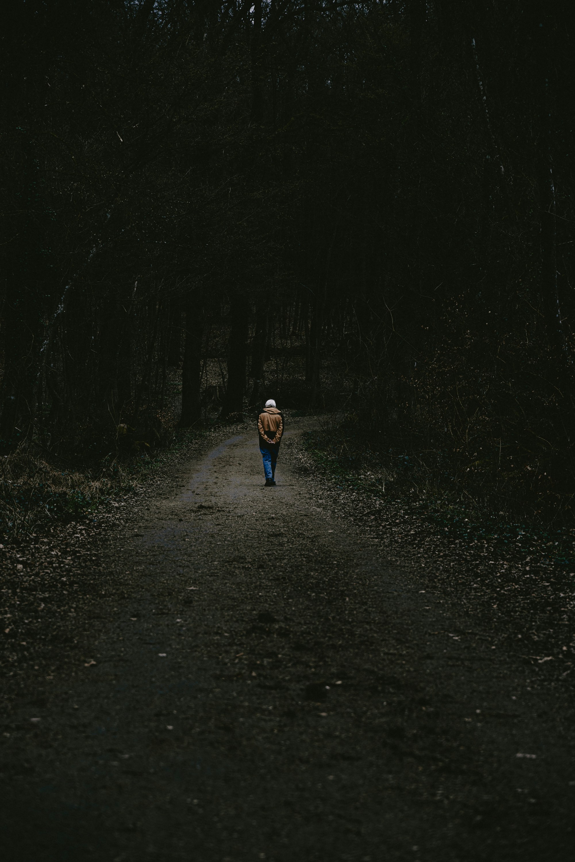 A person walks alone on a dark forest path. photo – Free Hands Image on ...