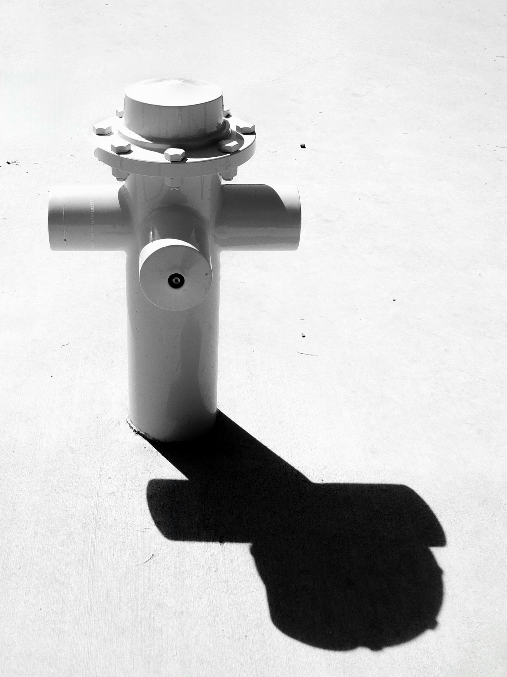 White fire hydrant casts a dark shadow.