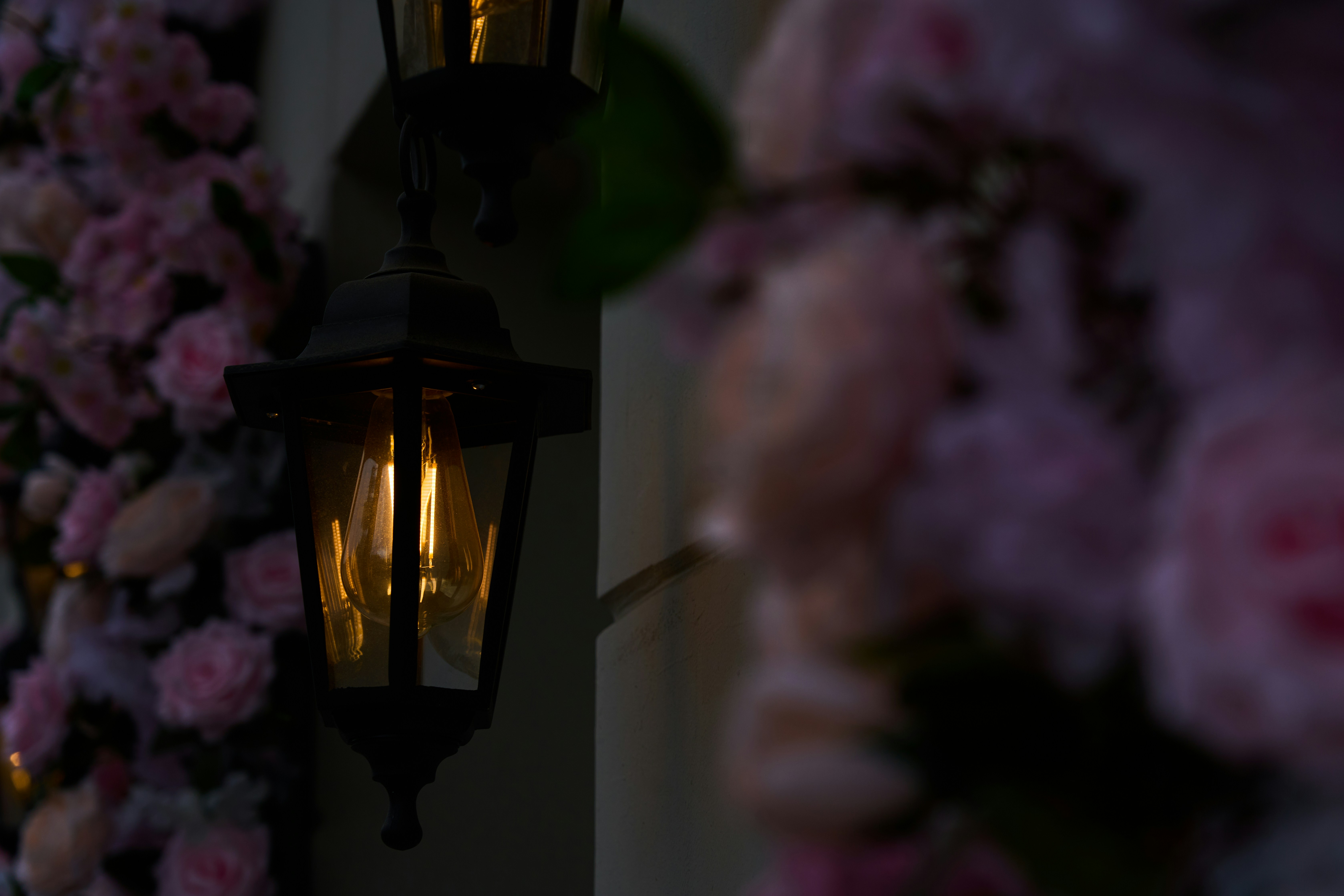 A vintage lantern glows warmly against a backdrop of soft pink flowers, creating a serene ambiance. The delicate interplay of light and texture enhances the charm of the scene.