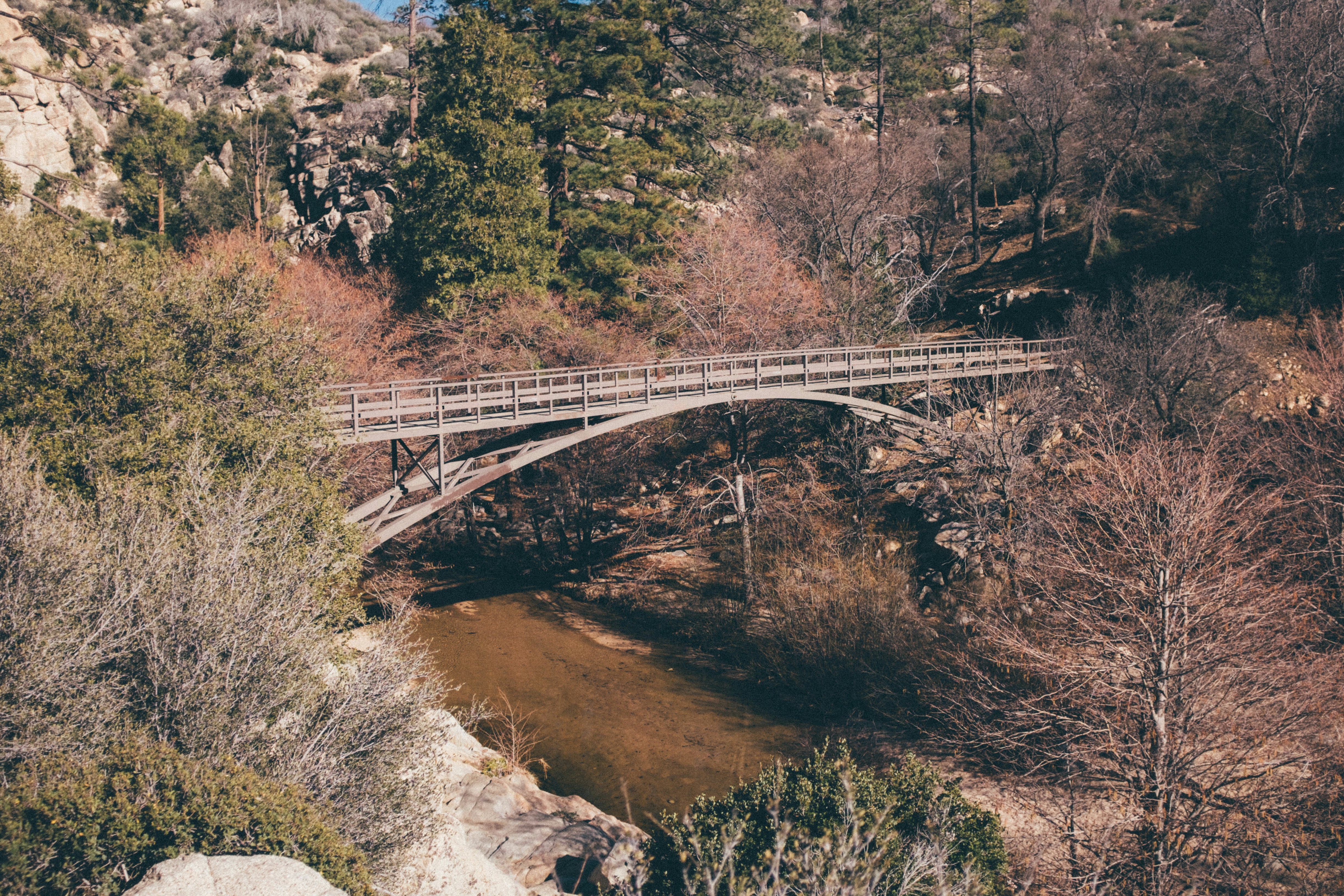 Autumn Arch Over a Quiet River