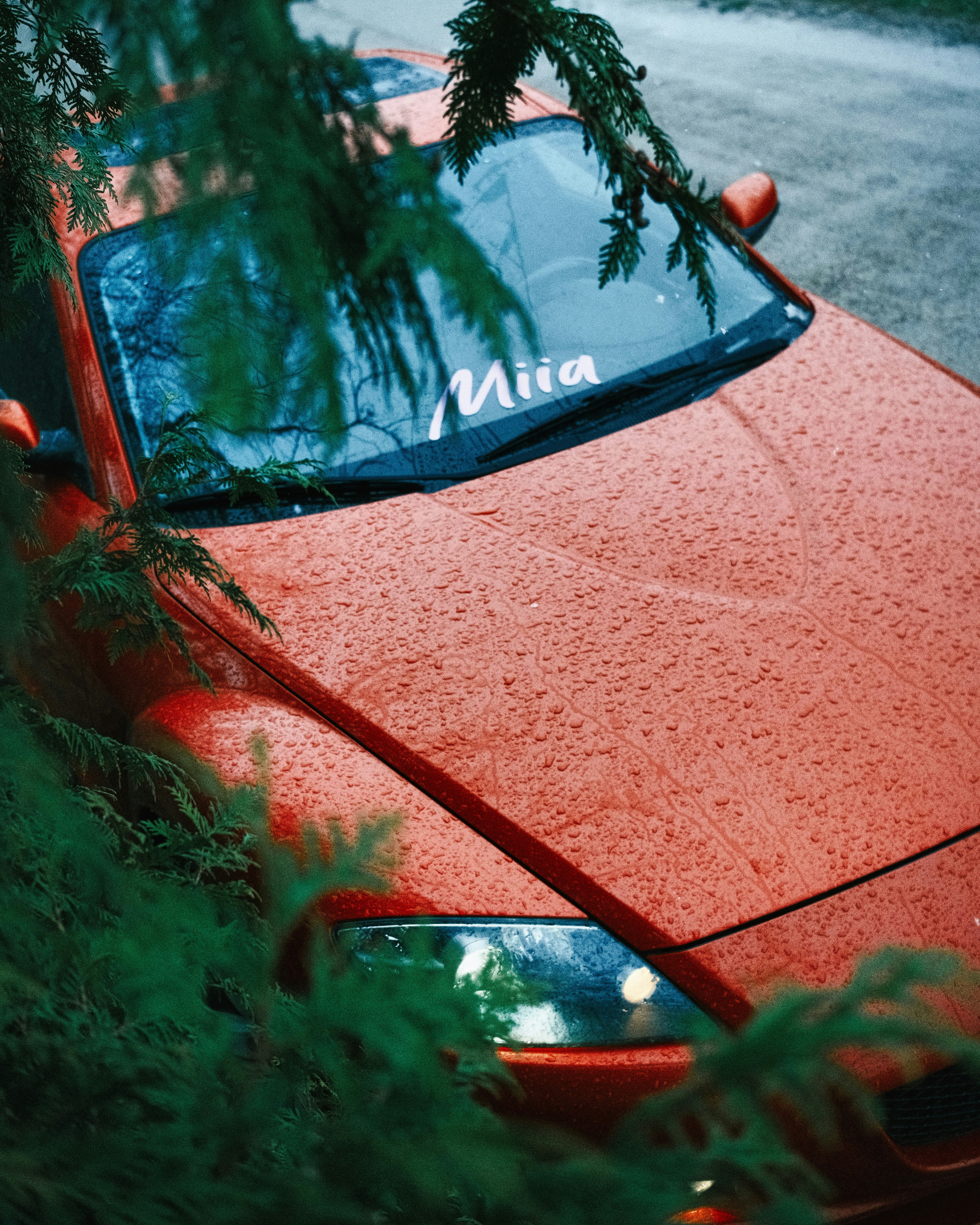 A red Mazda Rx8 sports car parked beneath overhanging greenery on a rainy day. Raindrops and shadows add a cinematic, moody vibe.