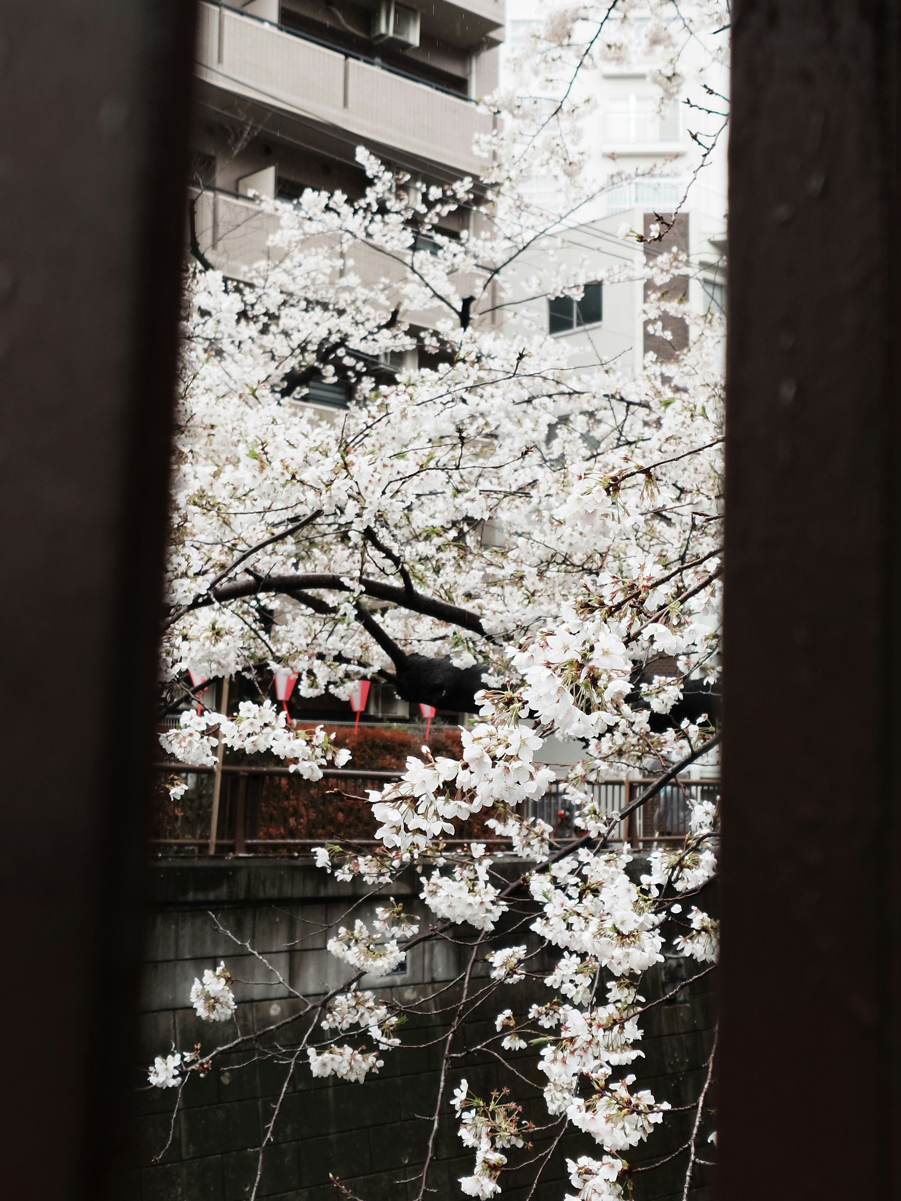 Sample photo from Sony Xperia 1 VI