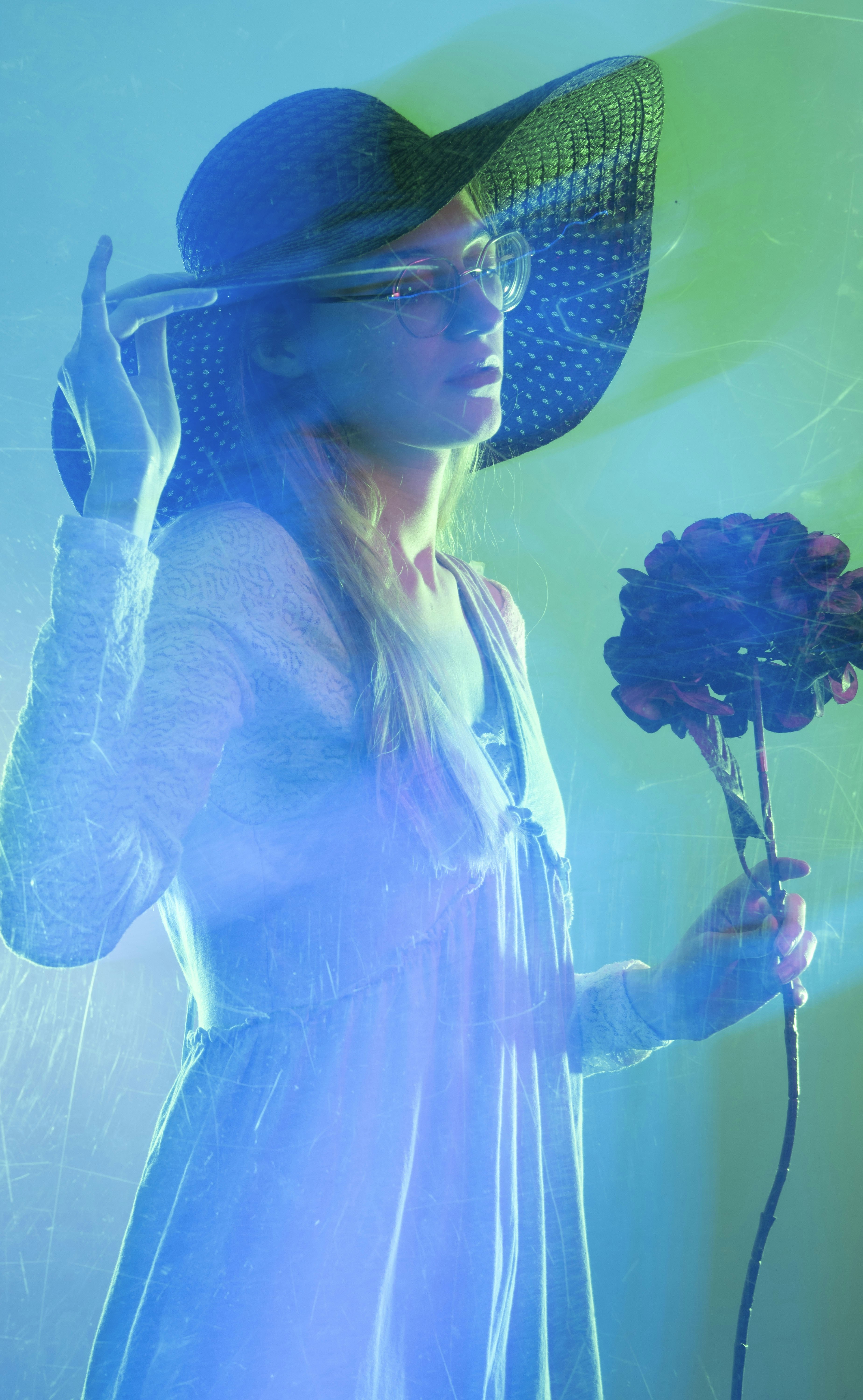 Whispers of Color and Elegance