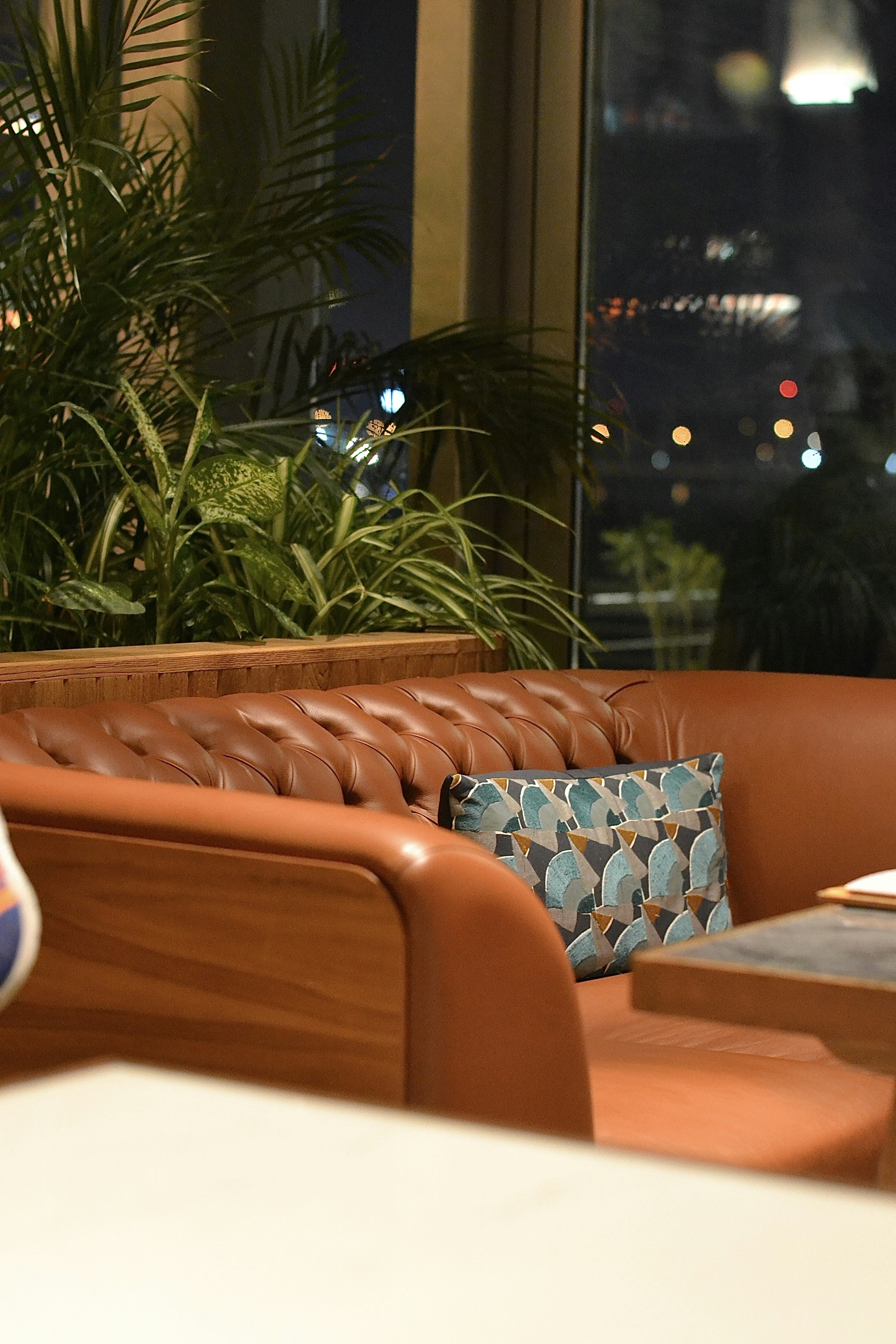 Cozy Corner backstage: leather lounge and plant whispers by night