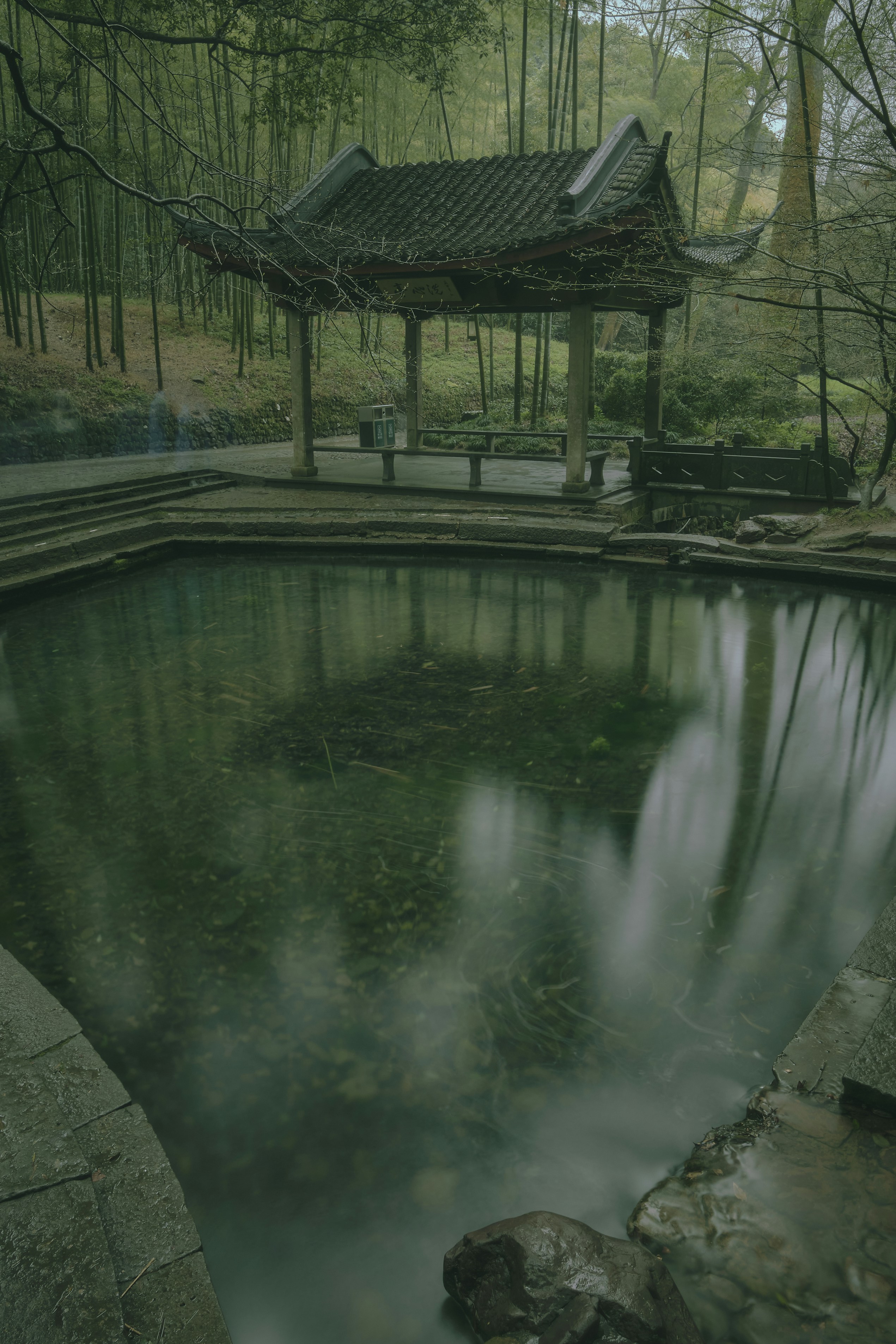 Green Veil Pavilion Over a Quiet Forest Pool