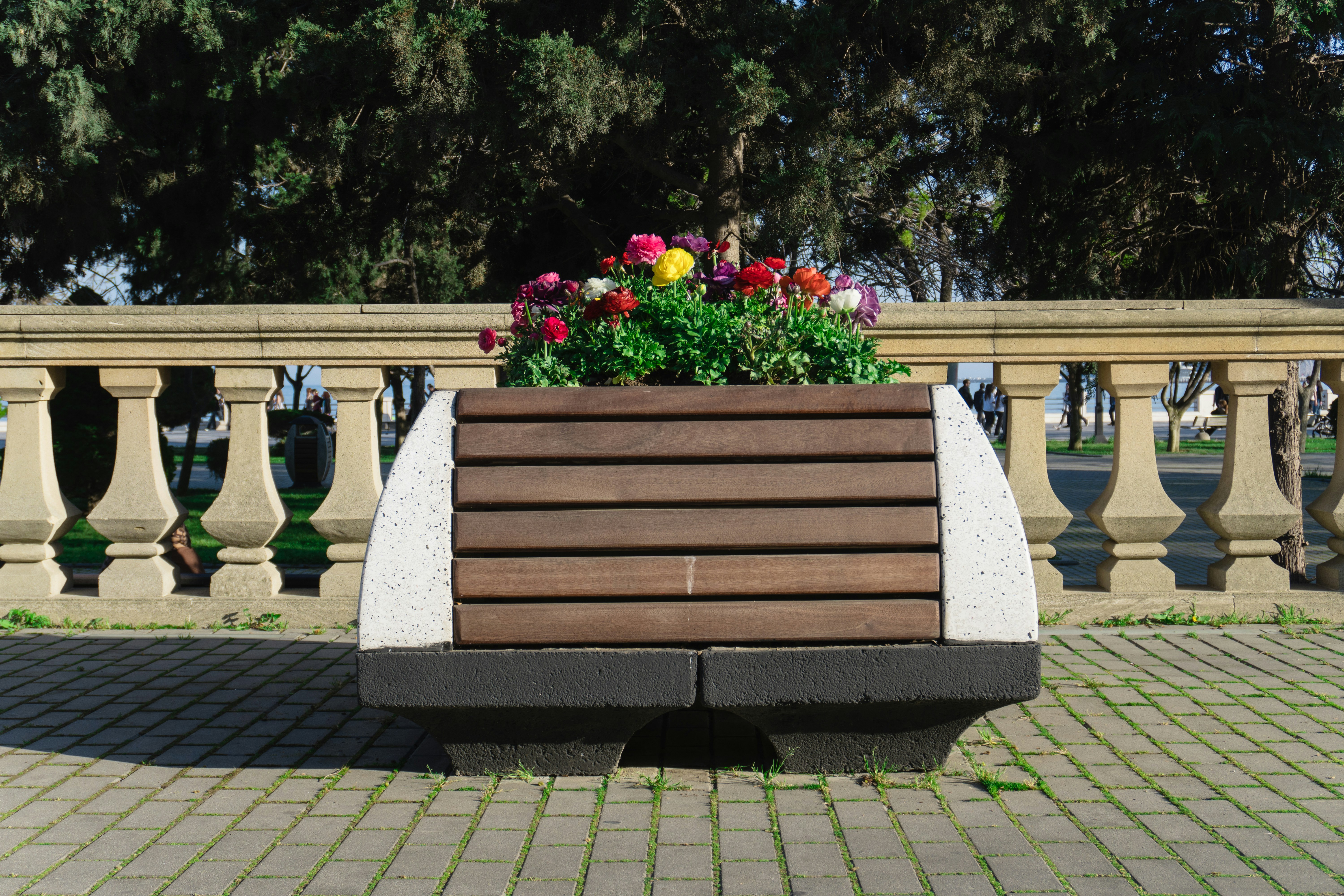 Flowering Bench at the Edge of the Park