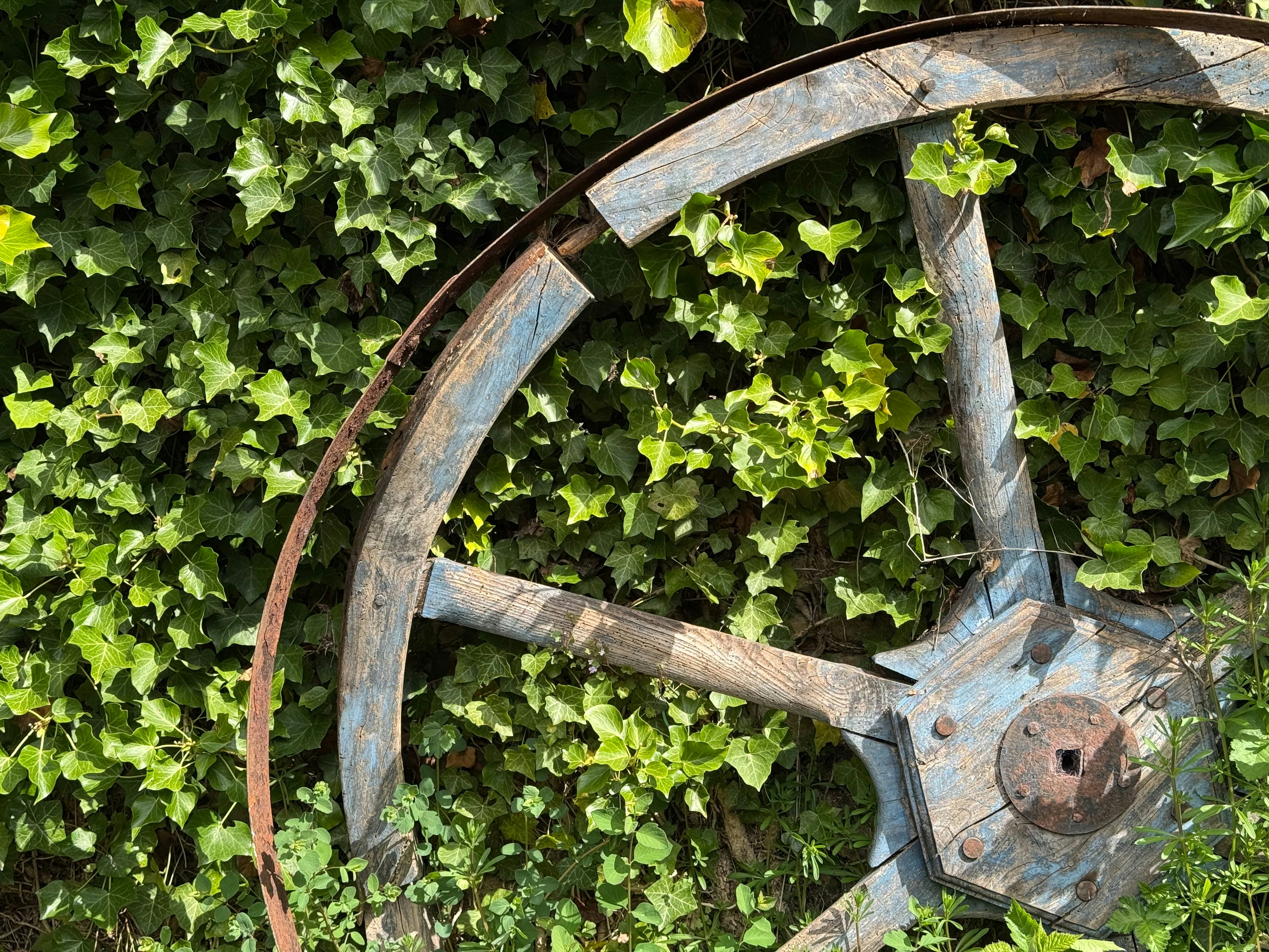 Wheel against green