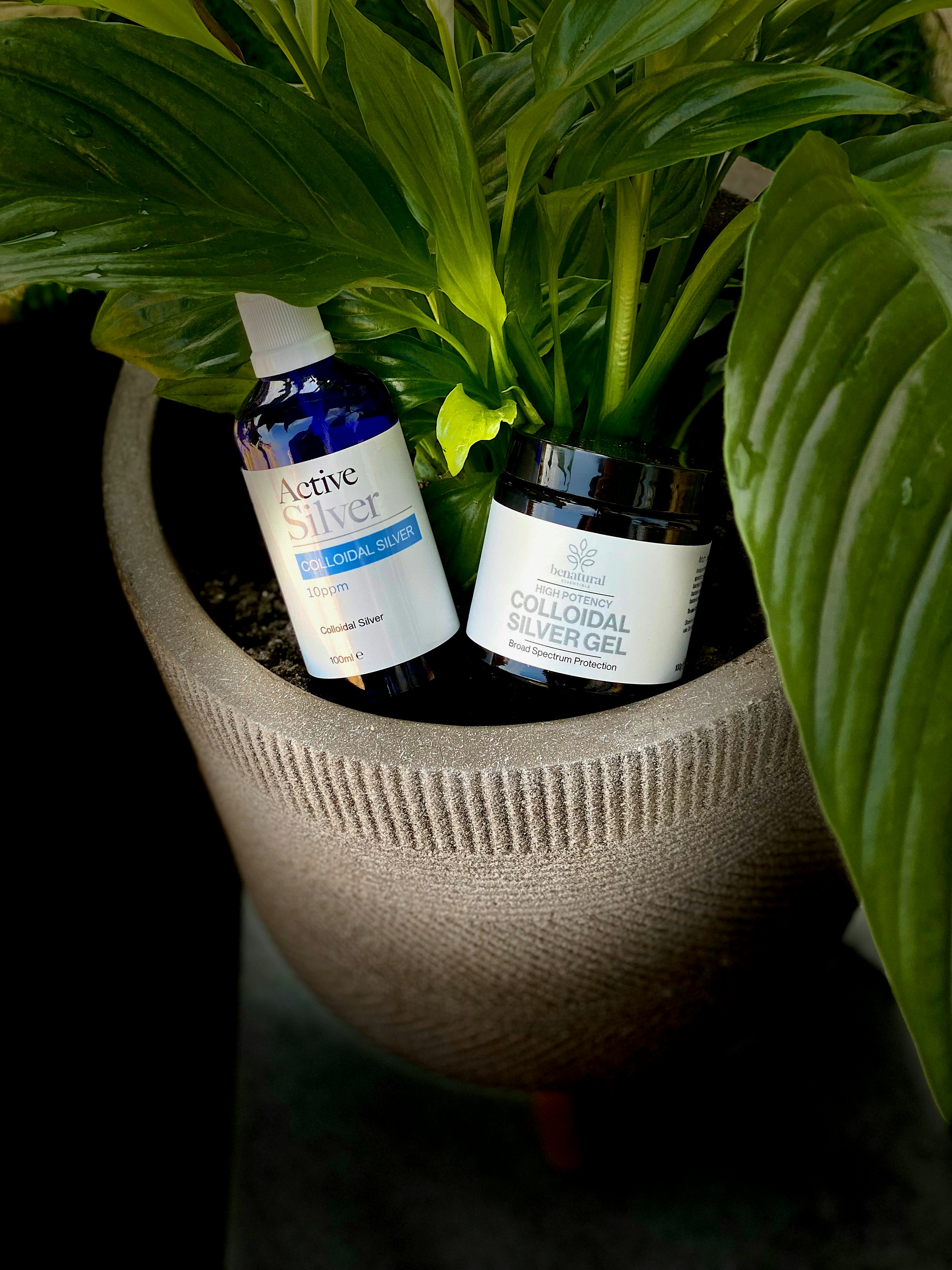 Colloidal silver products sit in a potted plant. photo – Free Plant ...