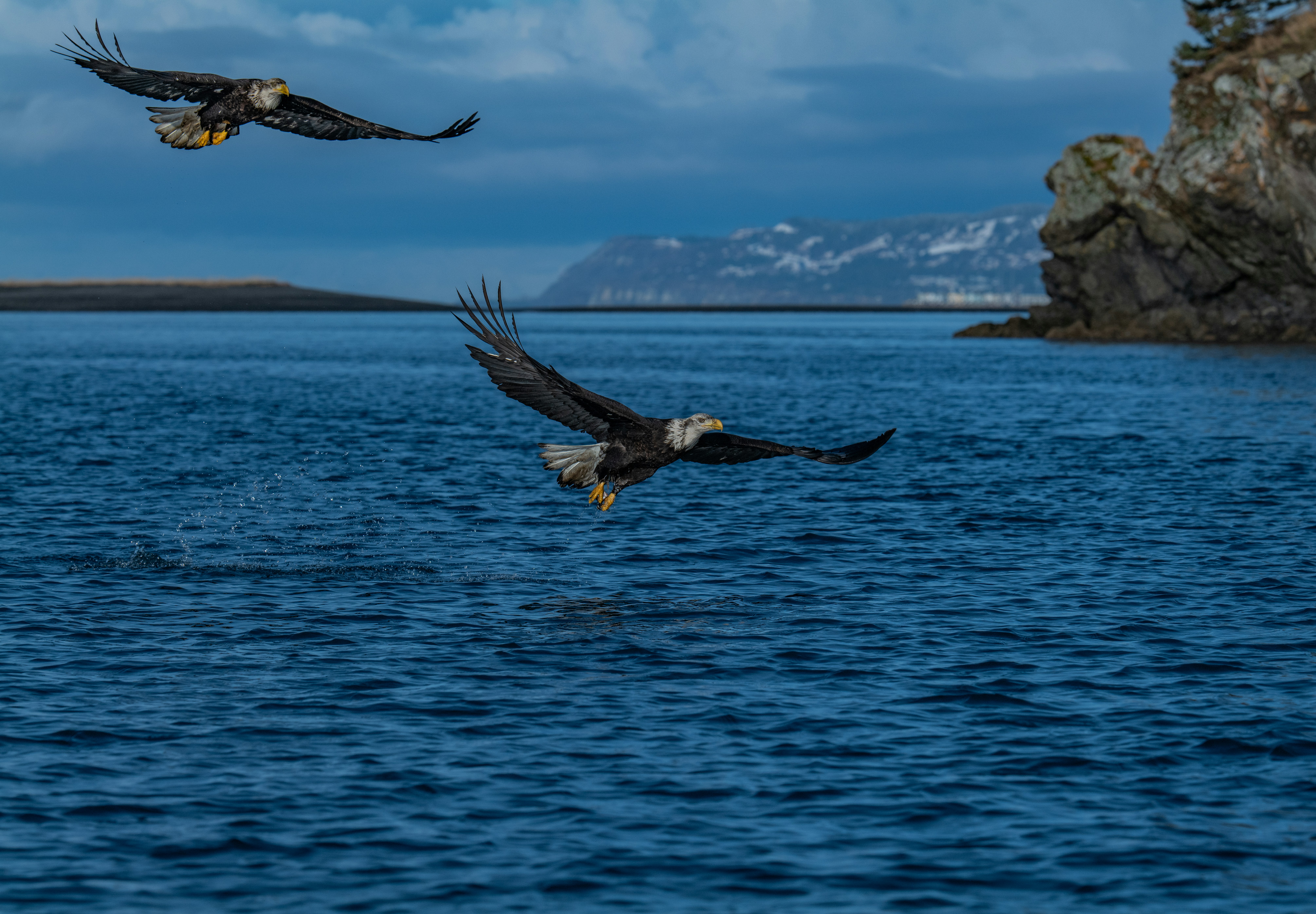 Two Birds of Prey Carve the Blue Fjord Sky