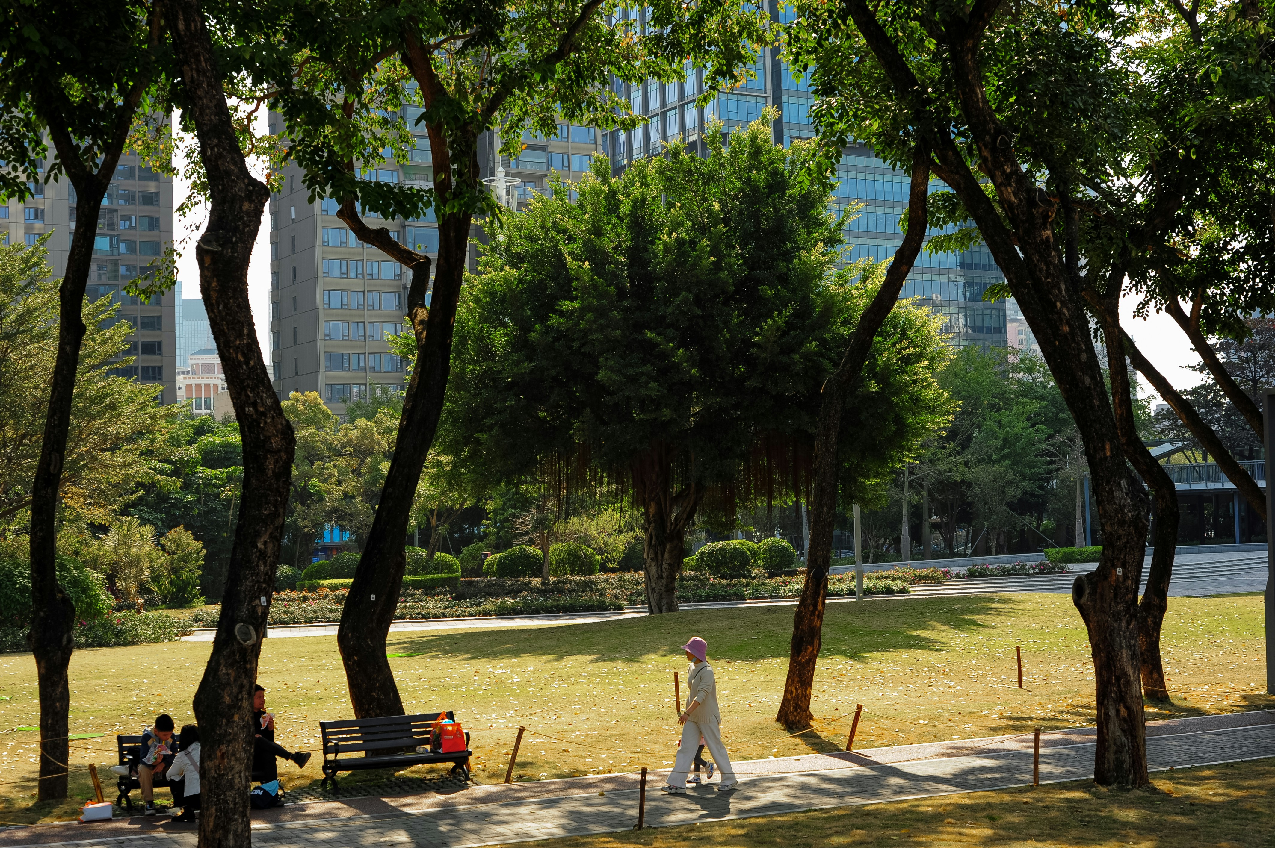 Parks of Shenzhen, China