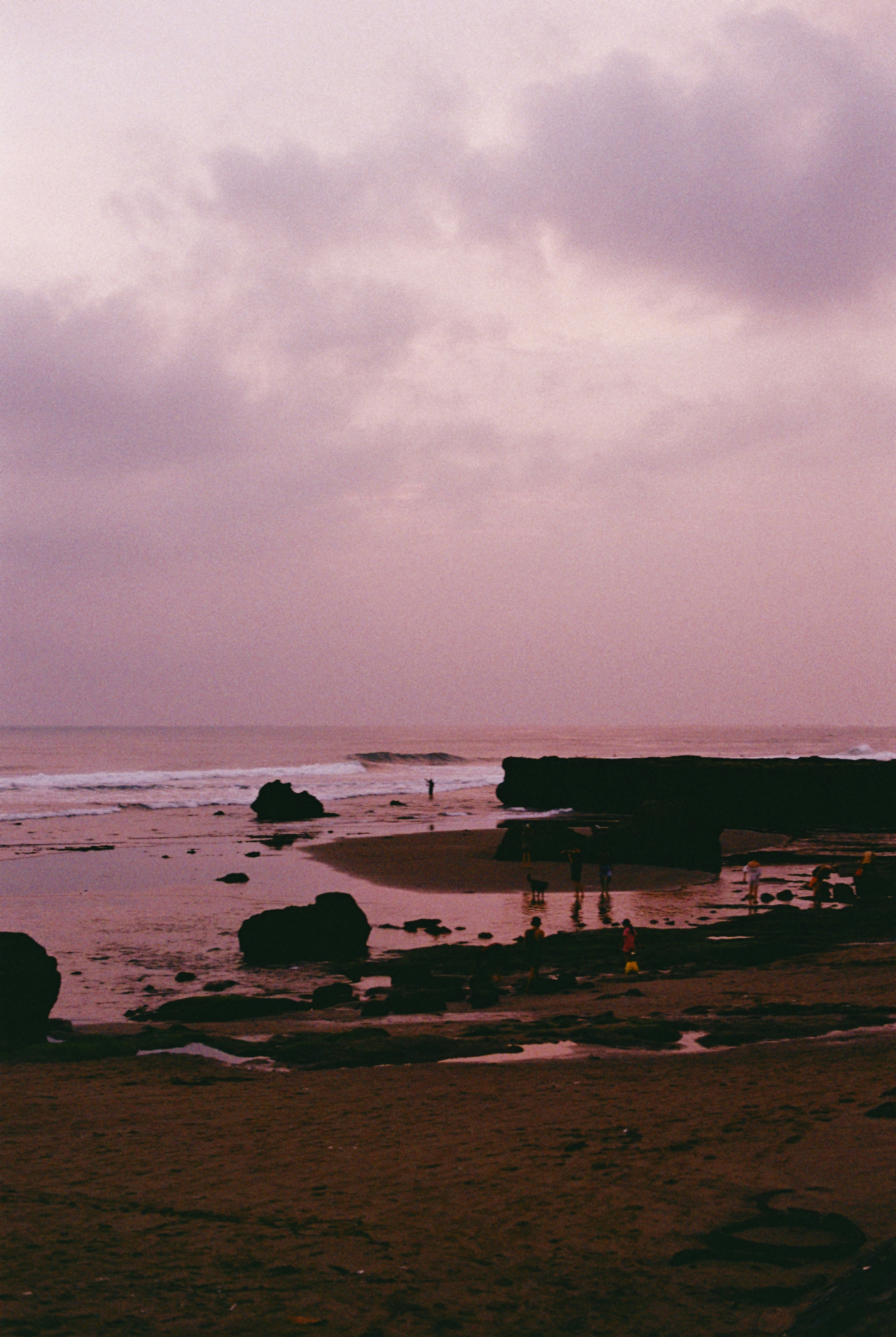 Beach scene with pink sky and dark rocks. photo – Free Travel Image on ...
