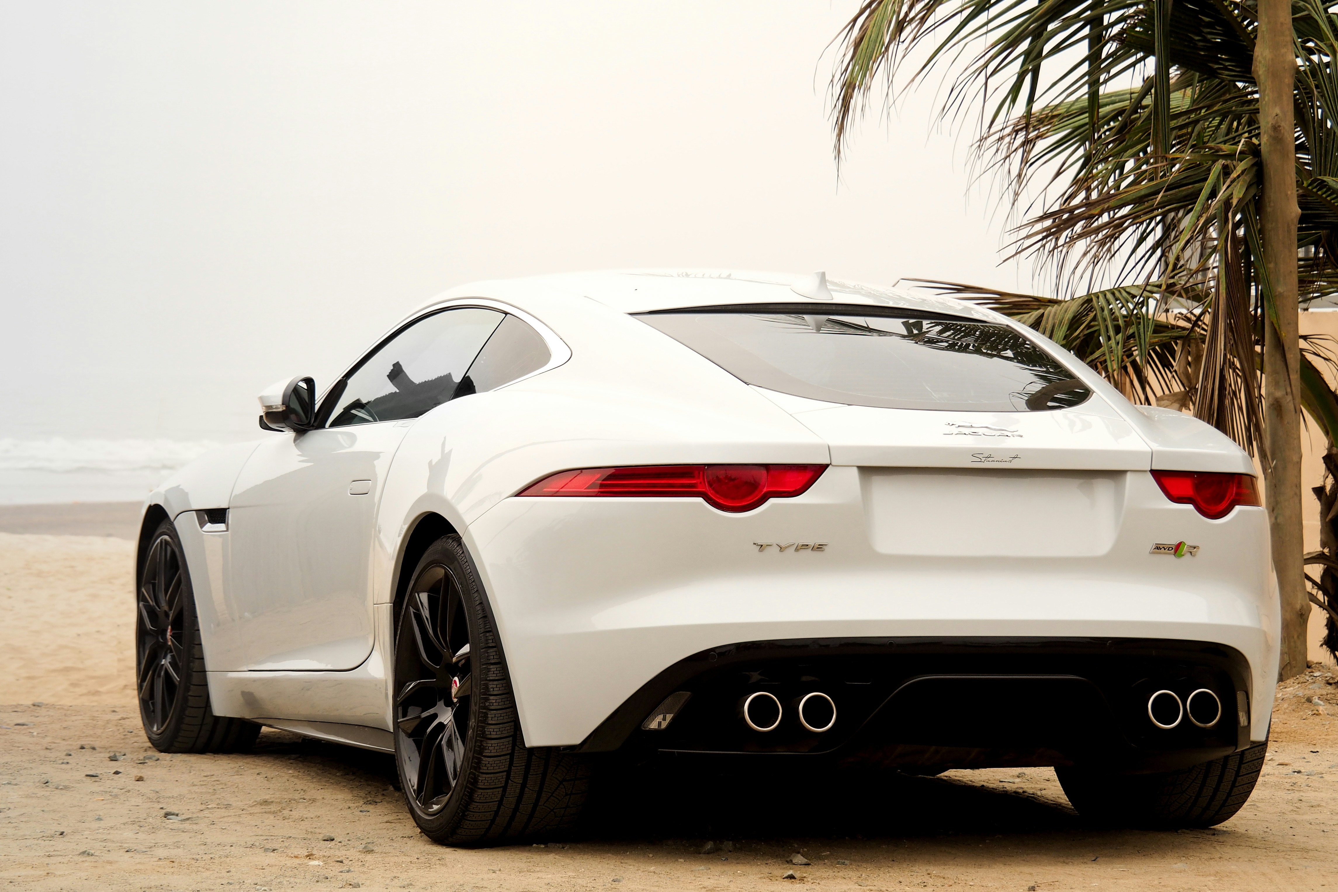 A white jaguar sports car parked on the beach. photo – Free Car Image ...
