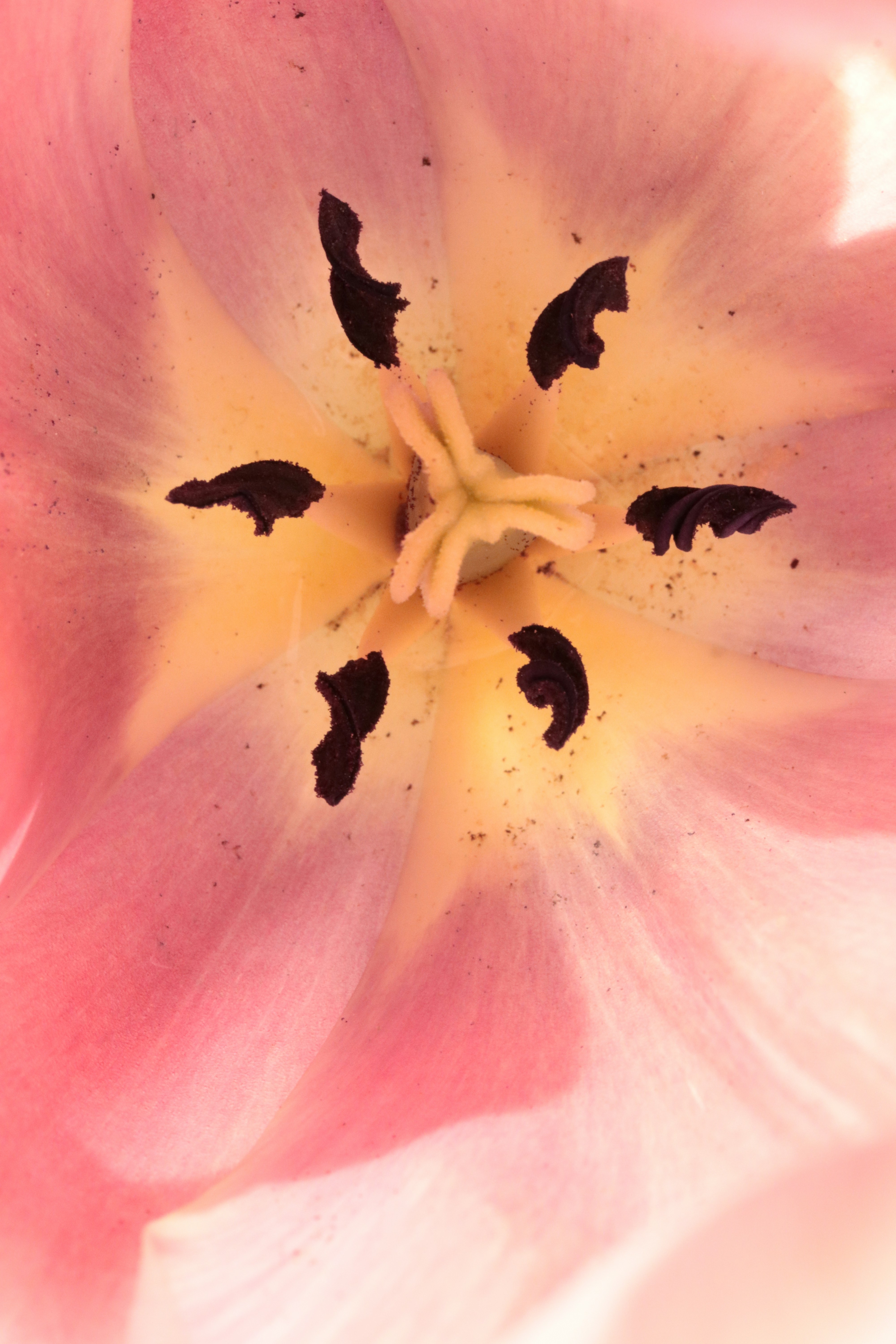 Neil Mewes (@neilmewes) | Comunidade de fotos da Unsplash