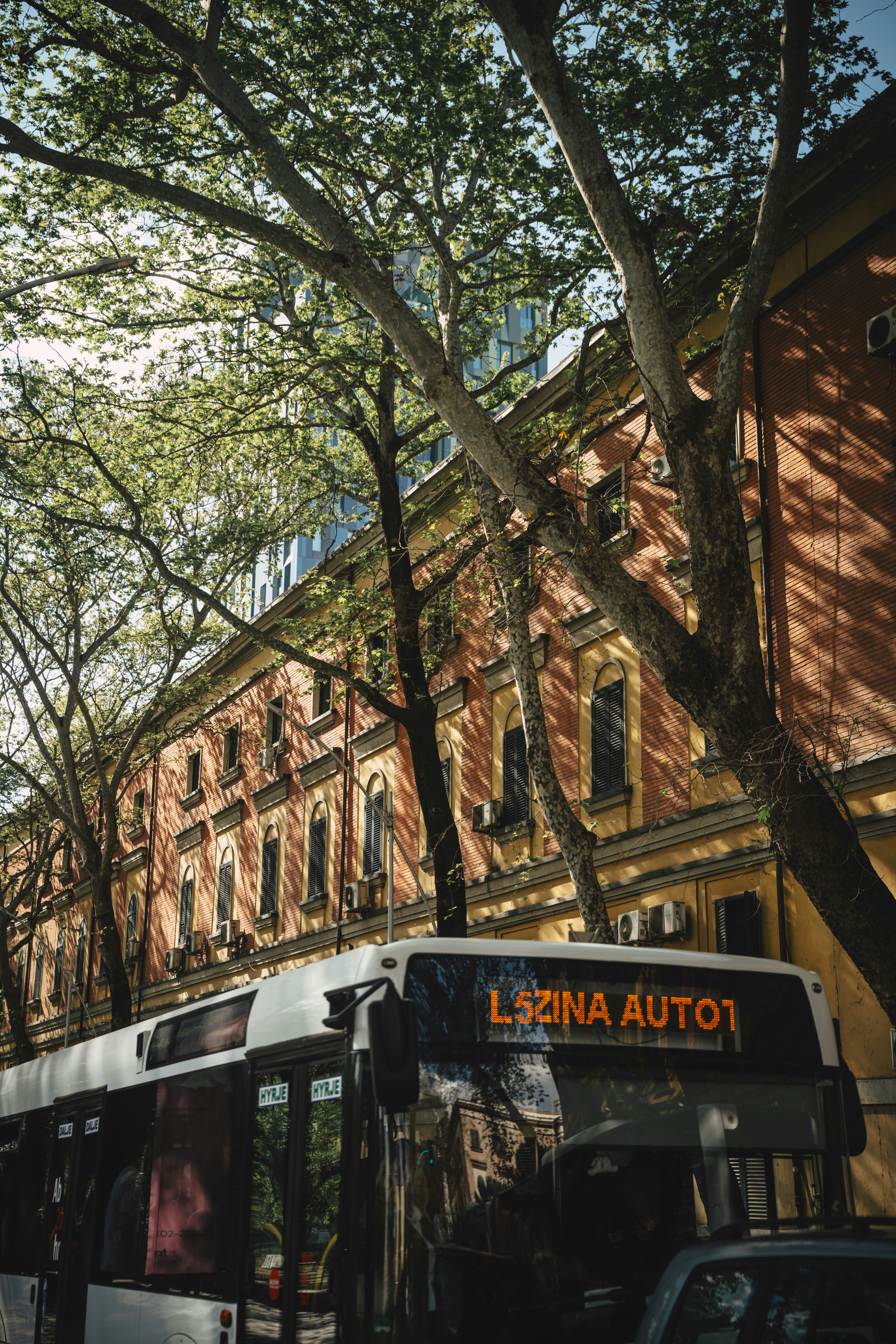 City Bus on a Sunlit Street framed by Tree Canopies