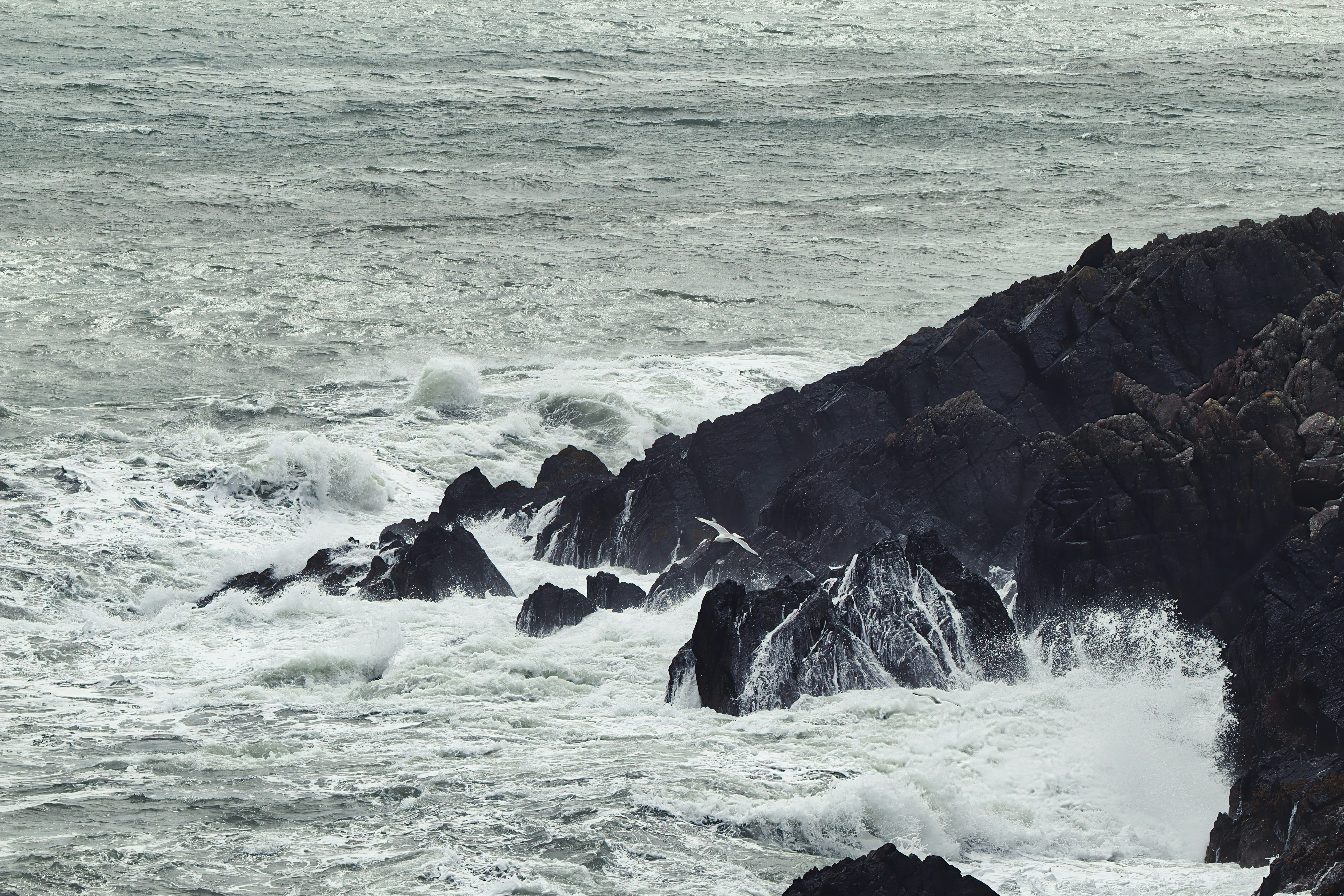 Waves crash against rocky cliffs in rough seas. photo – Free Waves ...