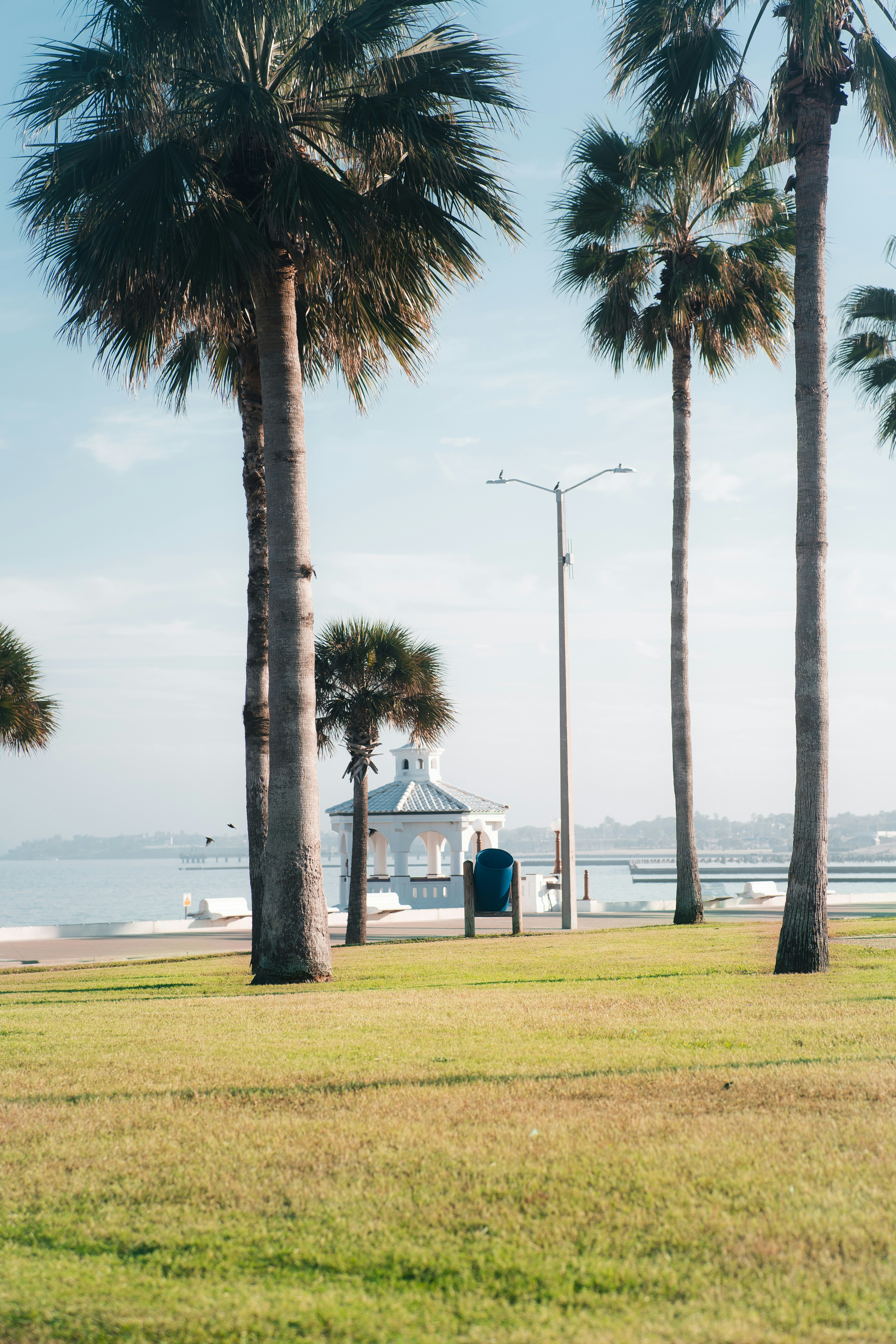 Palm-lined Seaside Gazebo: A Quiet Marina Scene
