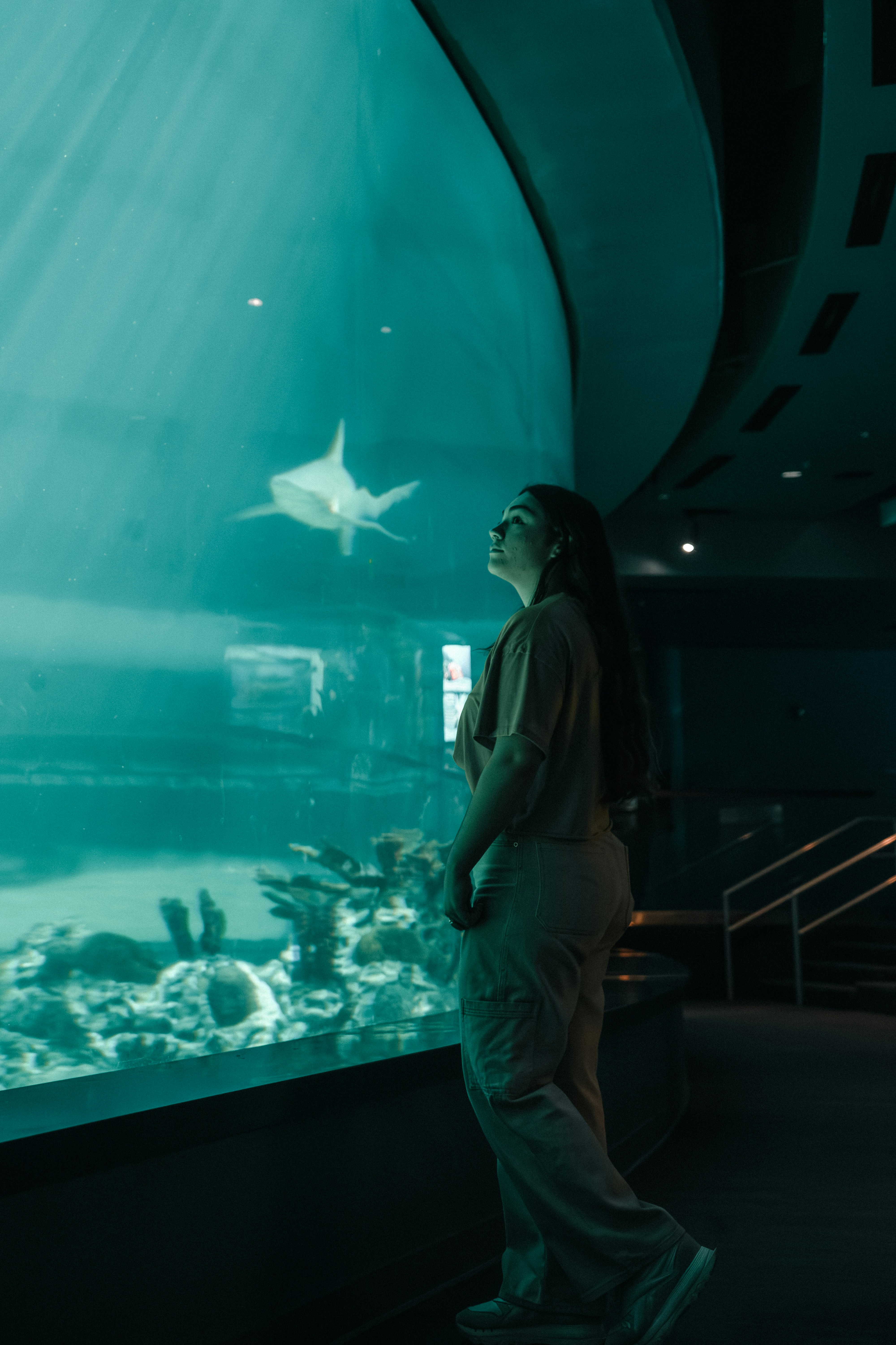 Quiet Contemplation by the Curved Aquarium Window