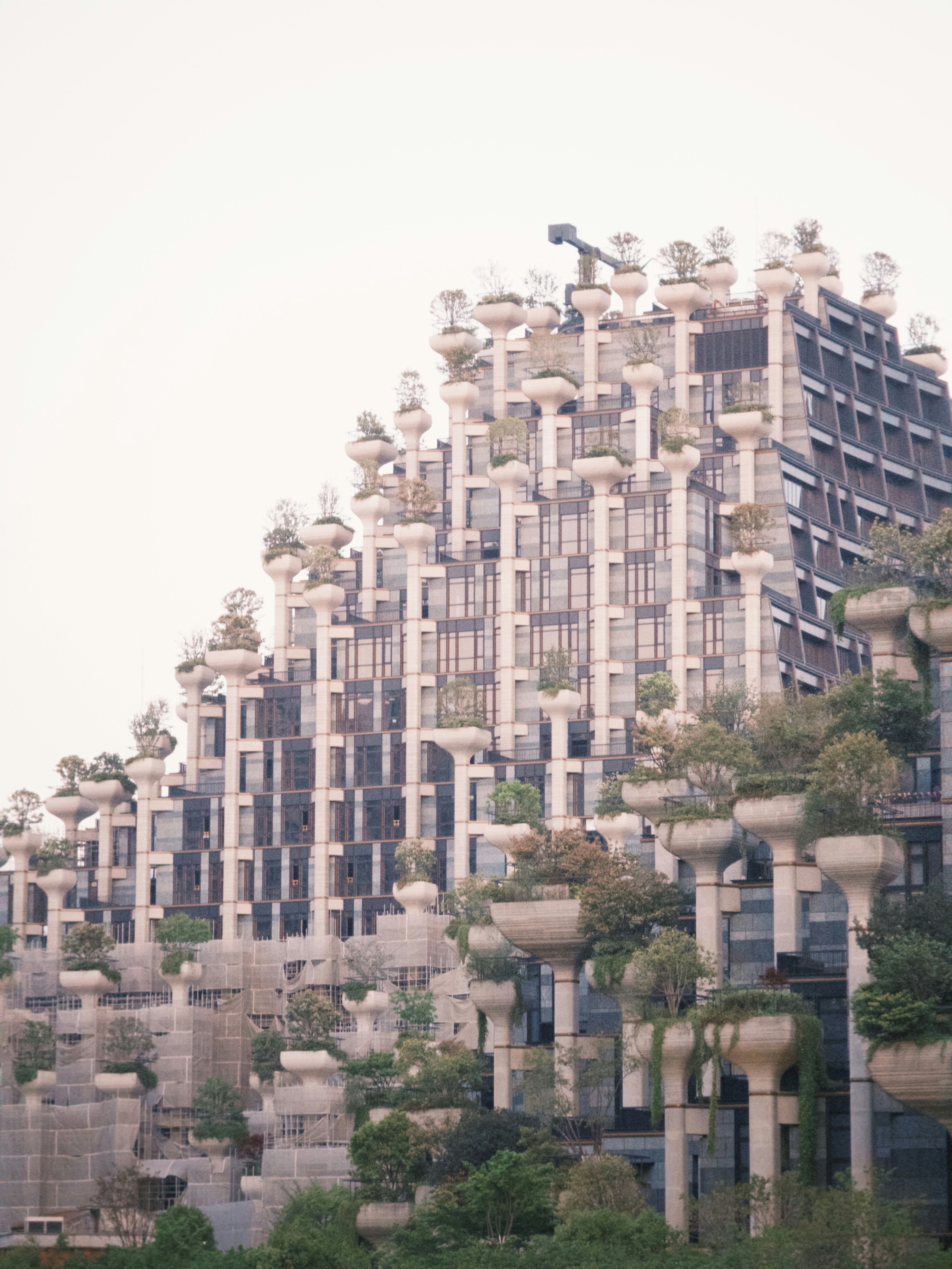 1,000 Trees — Shanghai China