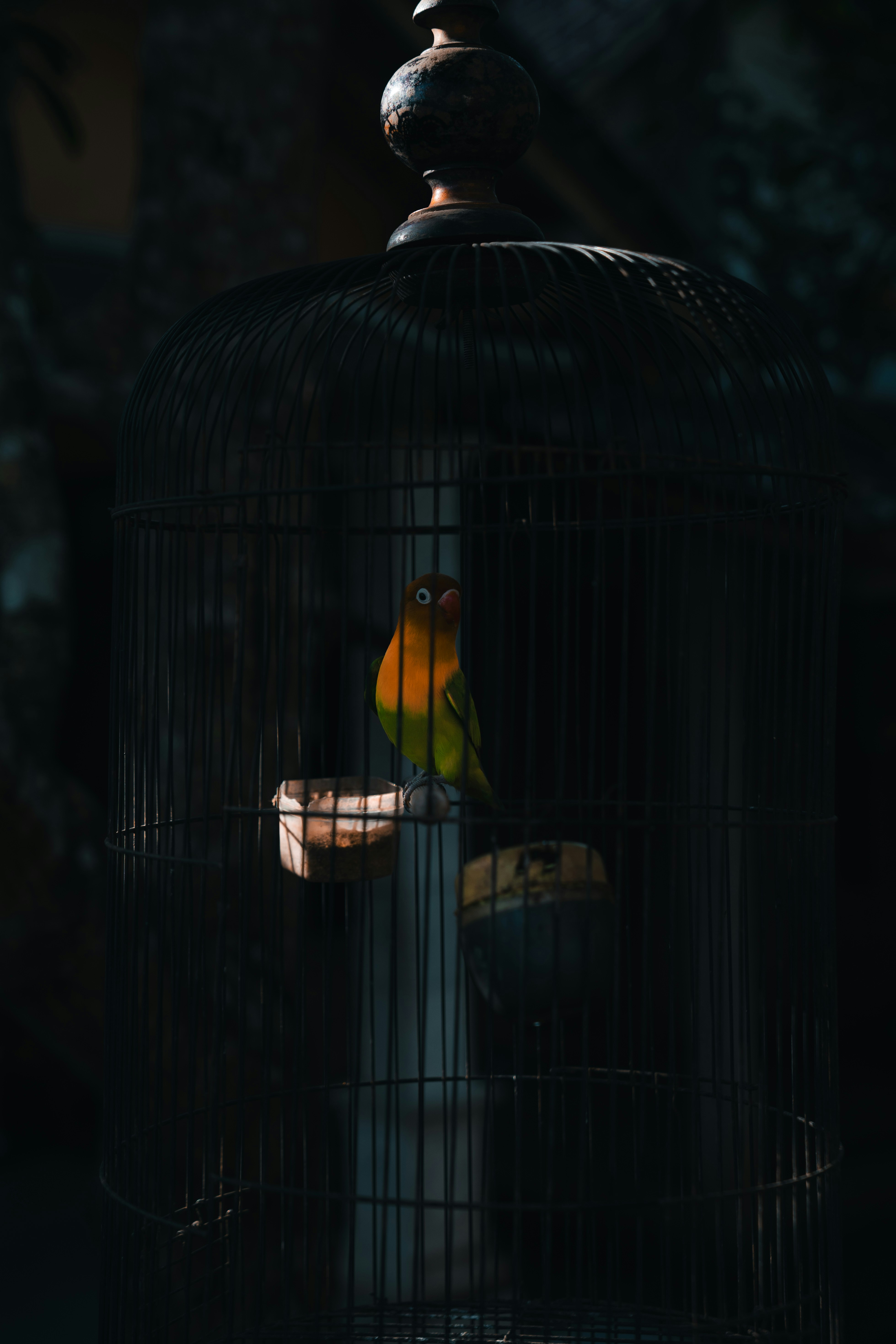 Photo by sander traa with Sony Alpha 7 III