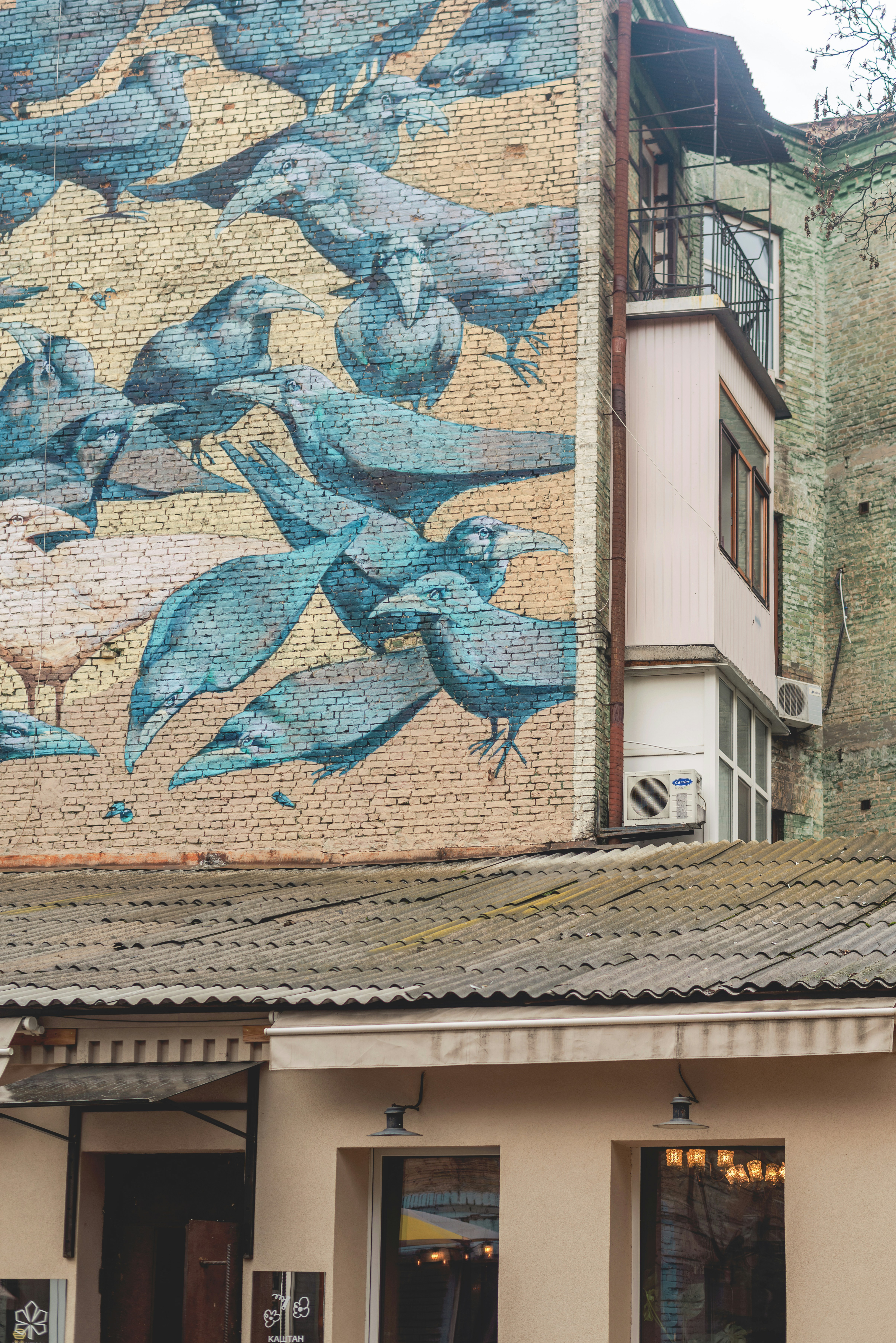 Photo by Eugenia Pan'kiv with Nikon D810