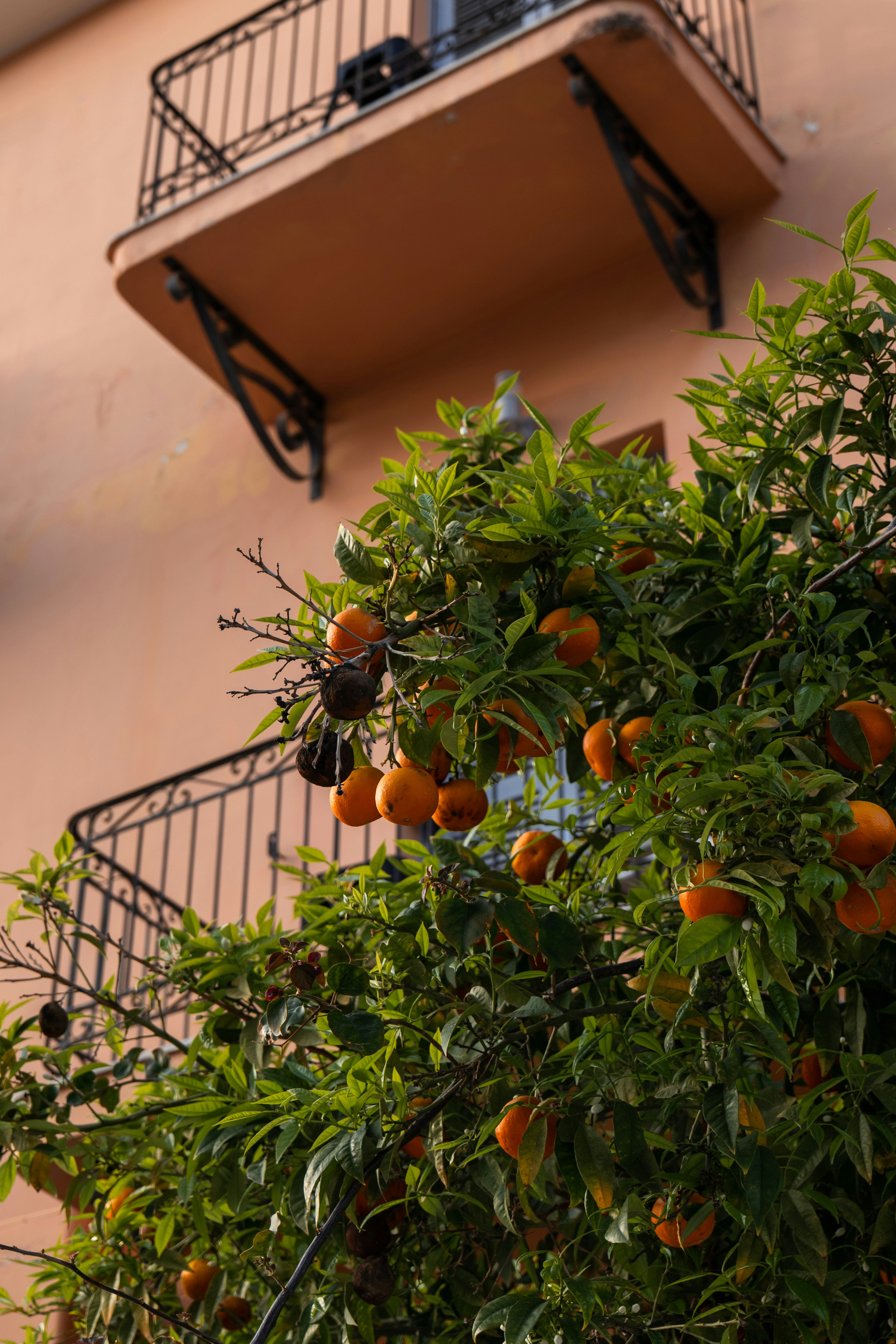 Photo by Corentin Hanriot with Panasonic Lumix S5