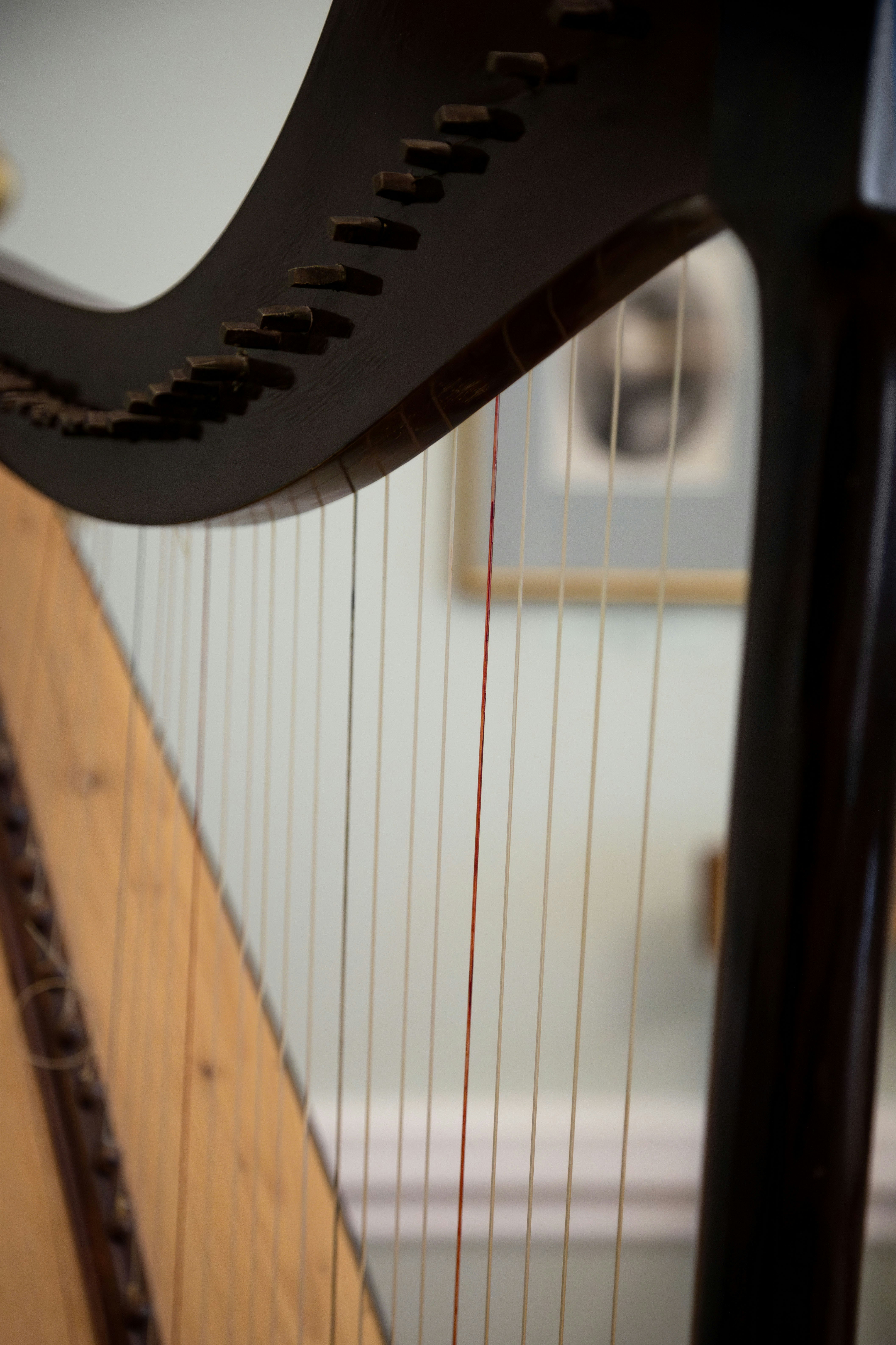A close-up of a beautiful, wooden harp.